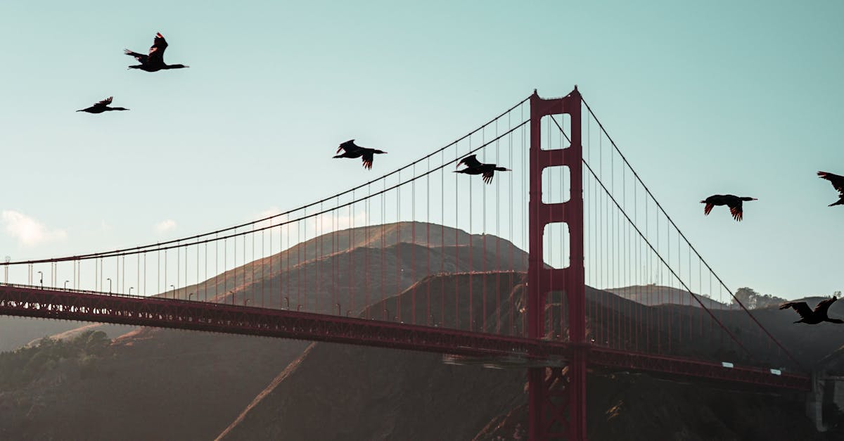 Golden Gate Bridge in San Francisco, California · Free Stock Photo Golden Gate Bridge in San Francisco, California · Free Stock Photo