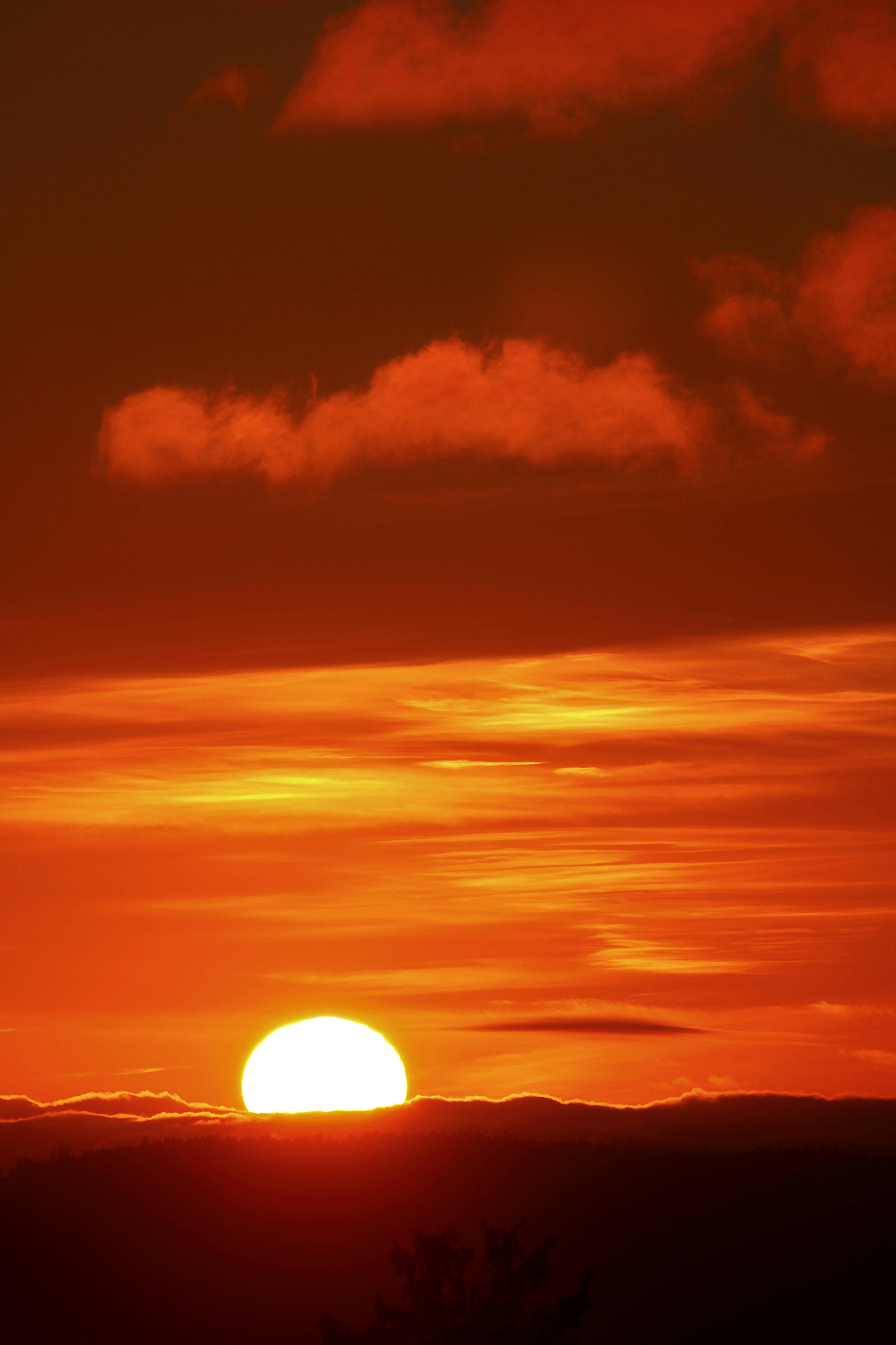 Sun and Yellow Sky at Sunset · Free Stock Photo