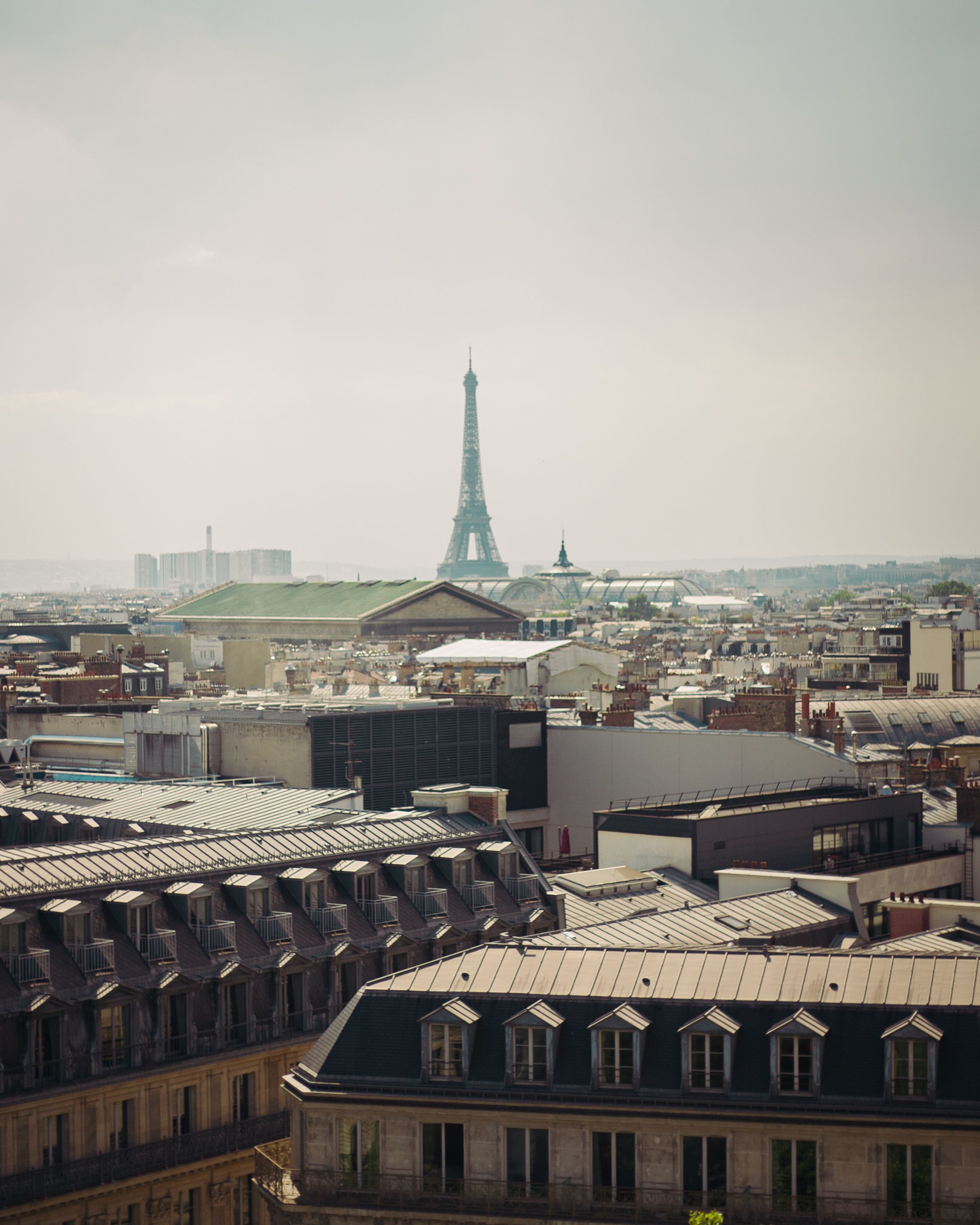 Clear Sky over Paris with Eiffel Tower · Free Stock Photo