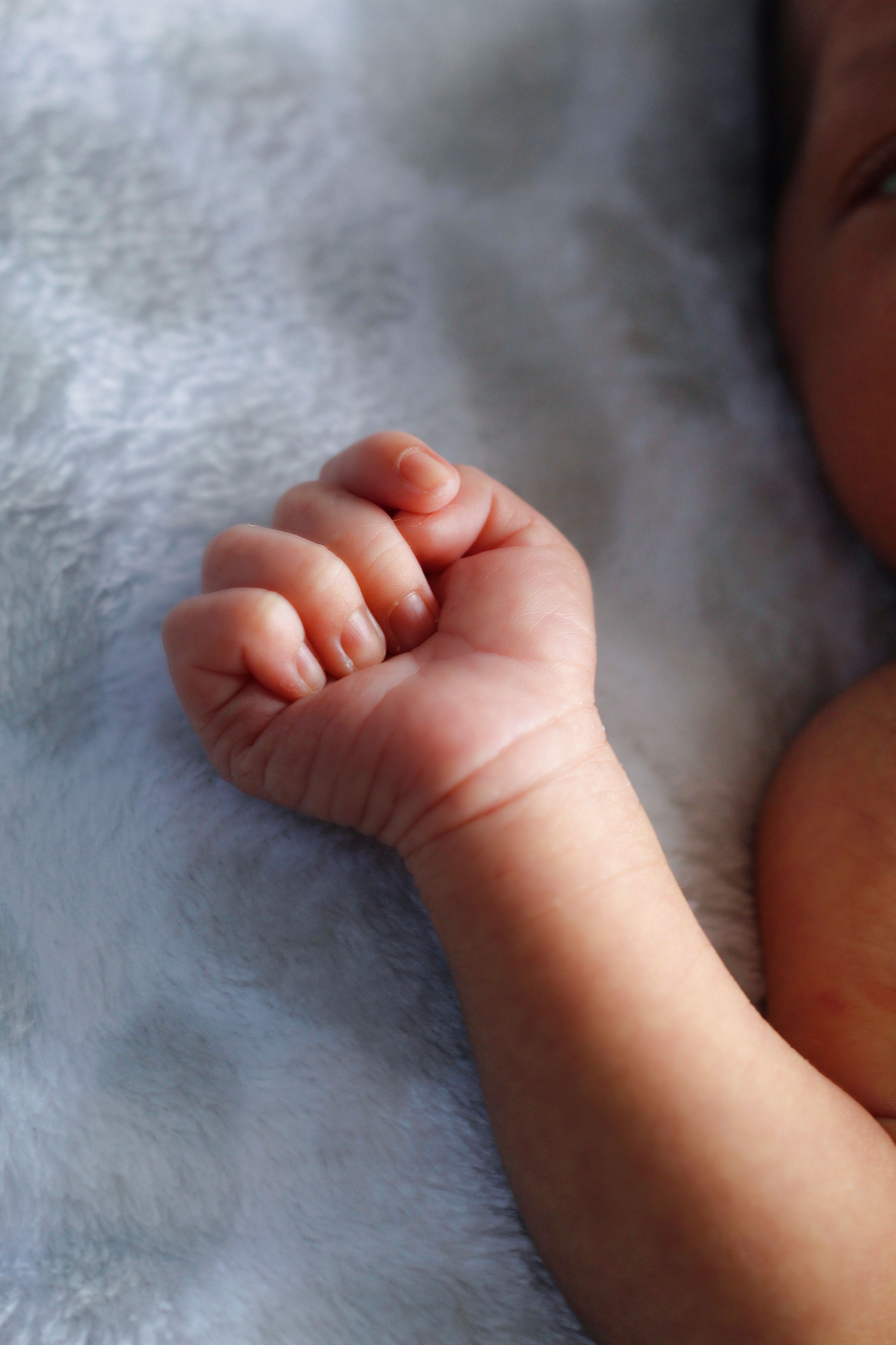 Cute Hand Photos, Download The BEST Free Cute Hand Stock Photos & HD Images