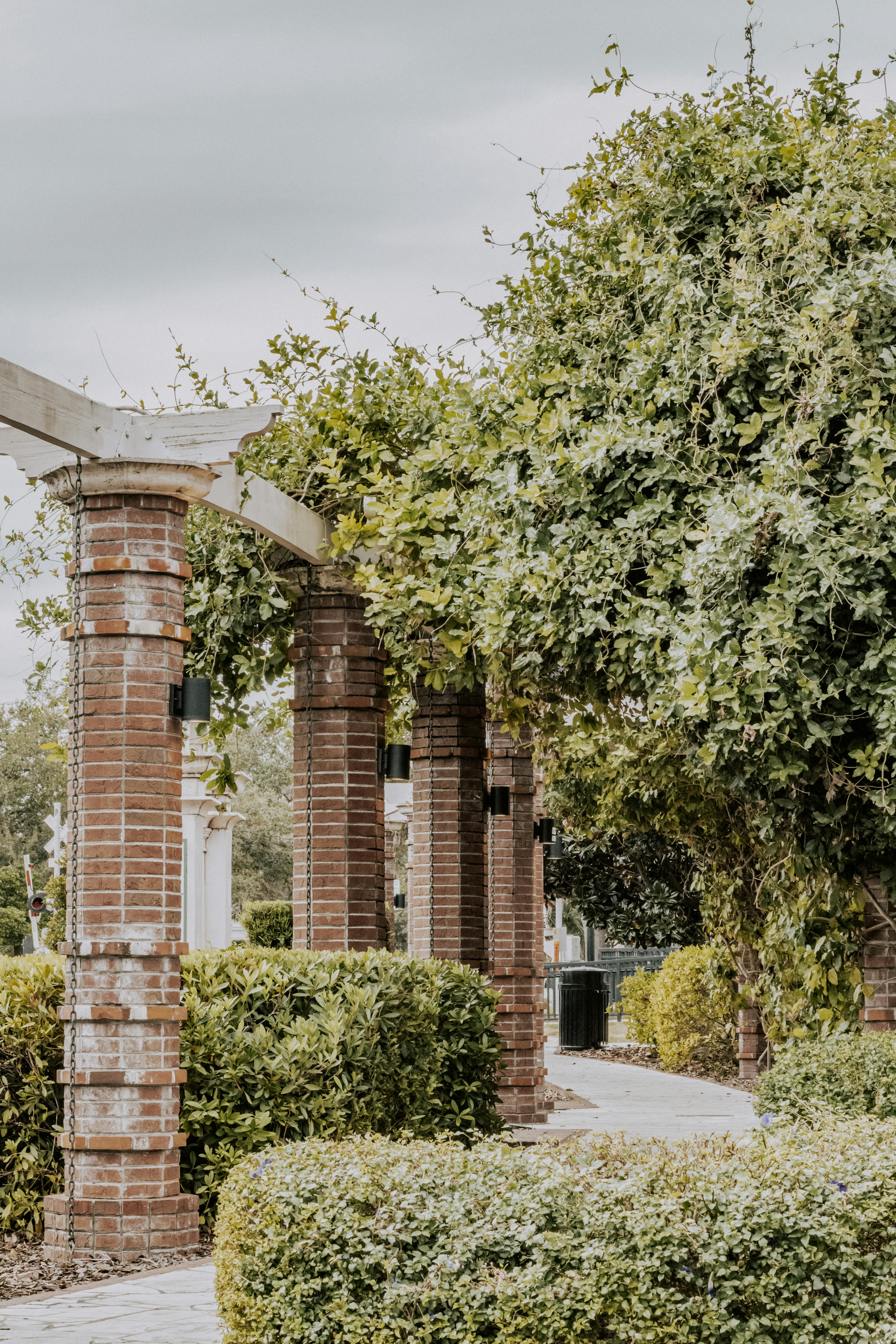 Park in Summer · Free Stock Photo