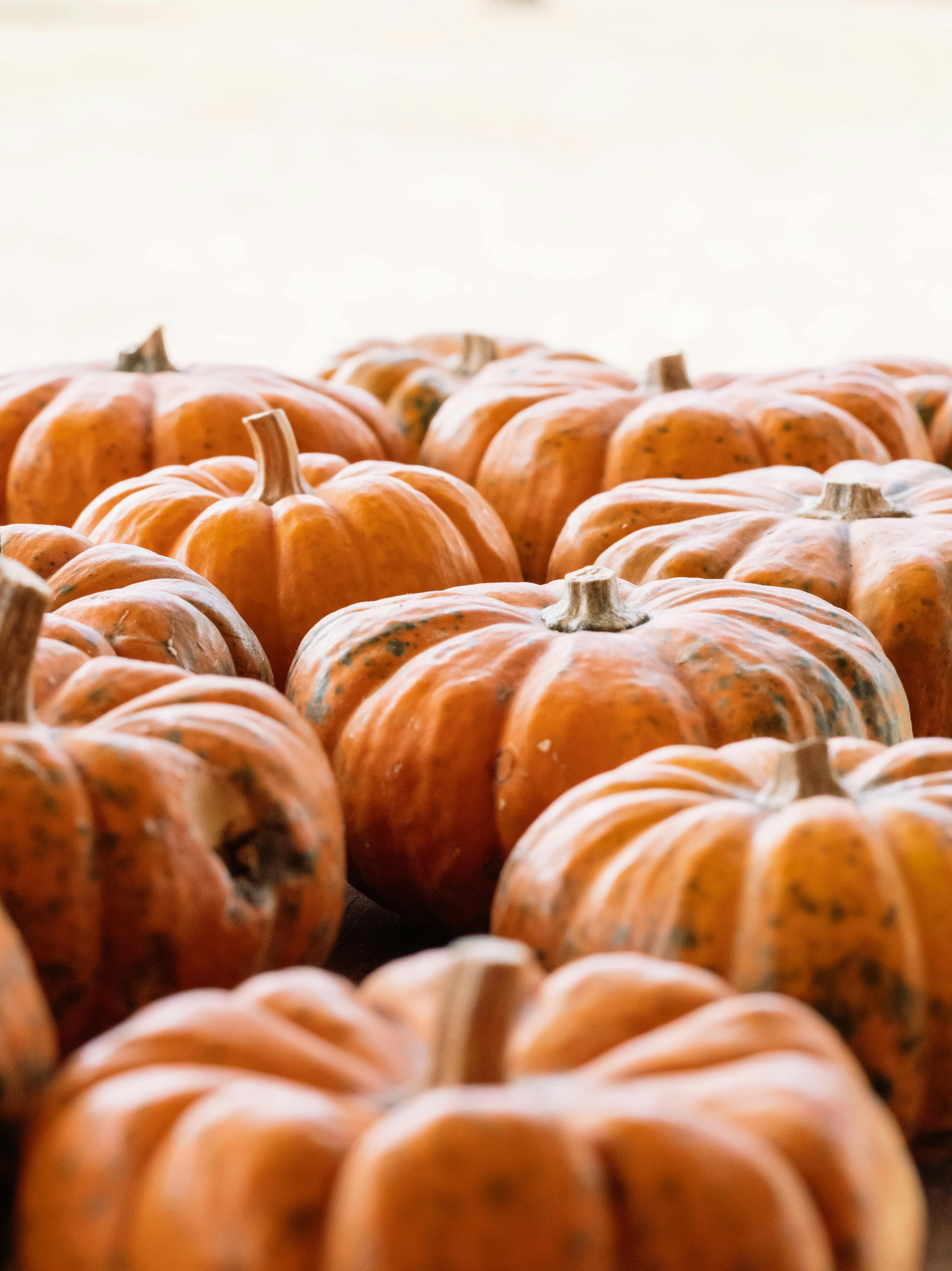 Fill the Frame Photograph of Pumpkin · Free Stock Photo
