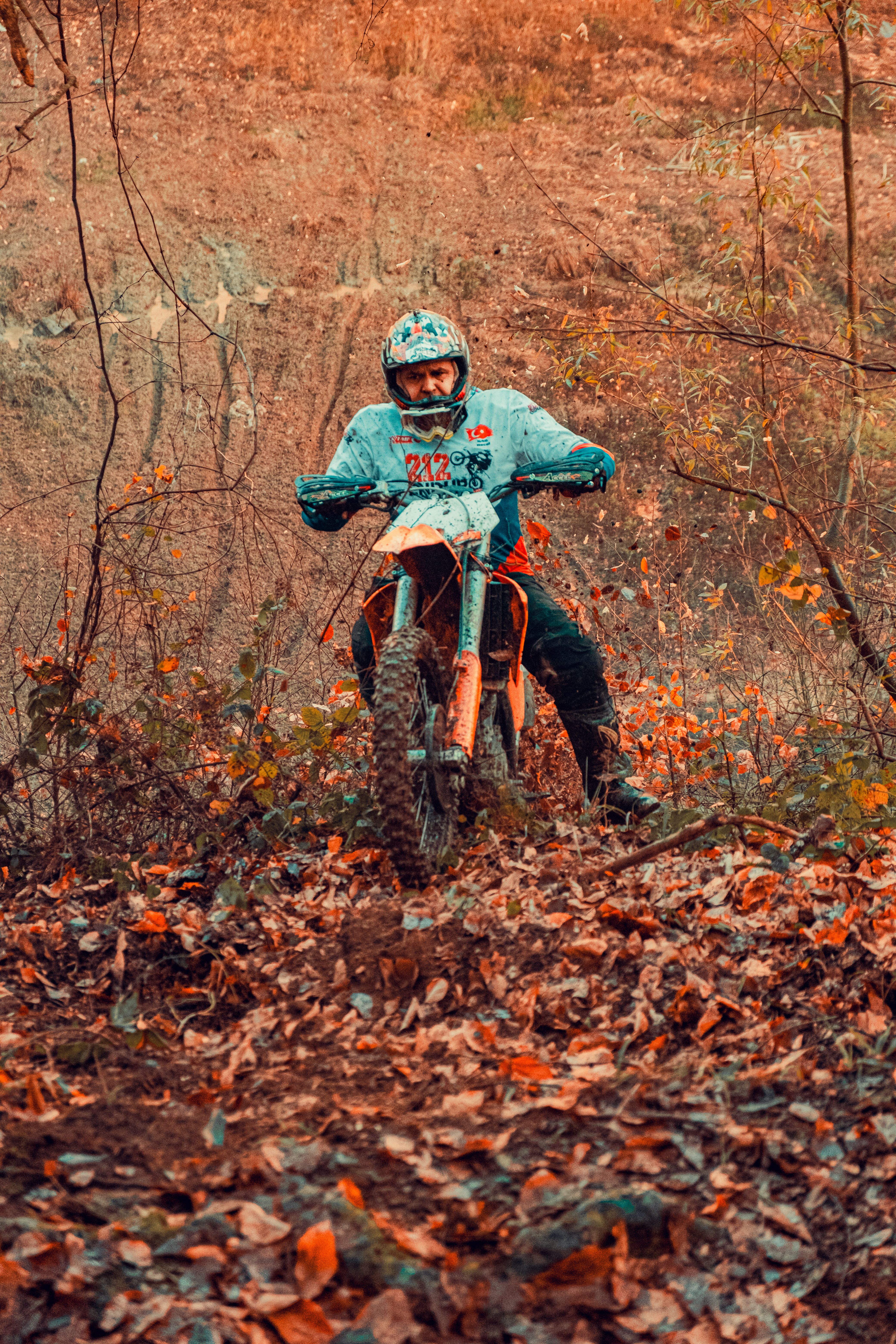 Motocross Contestant in Autumn Forest · Free Stock Photo