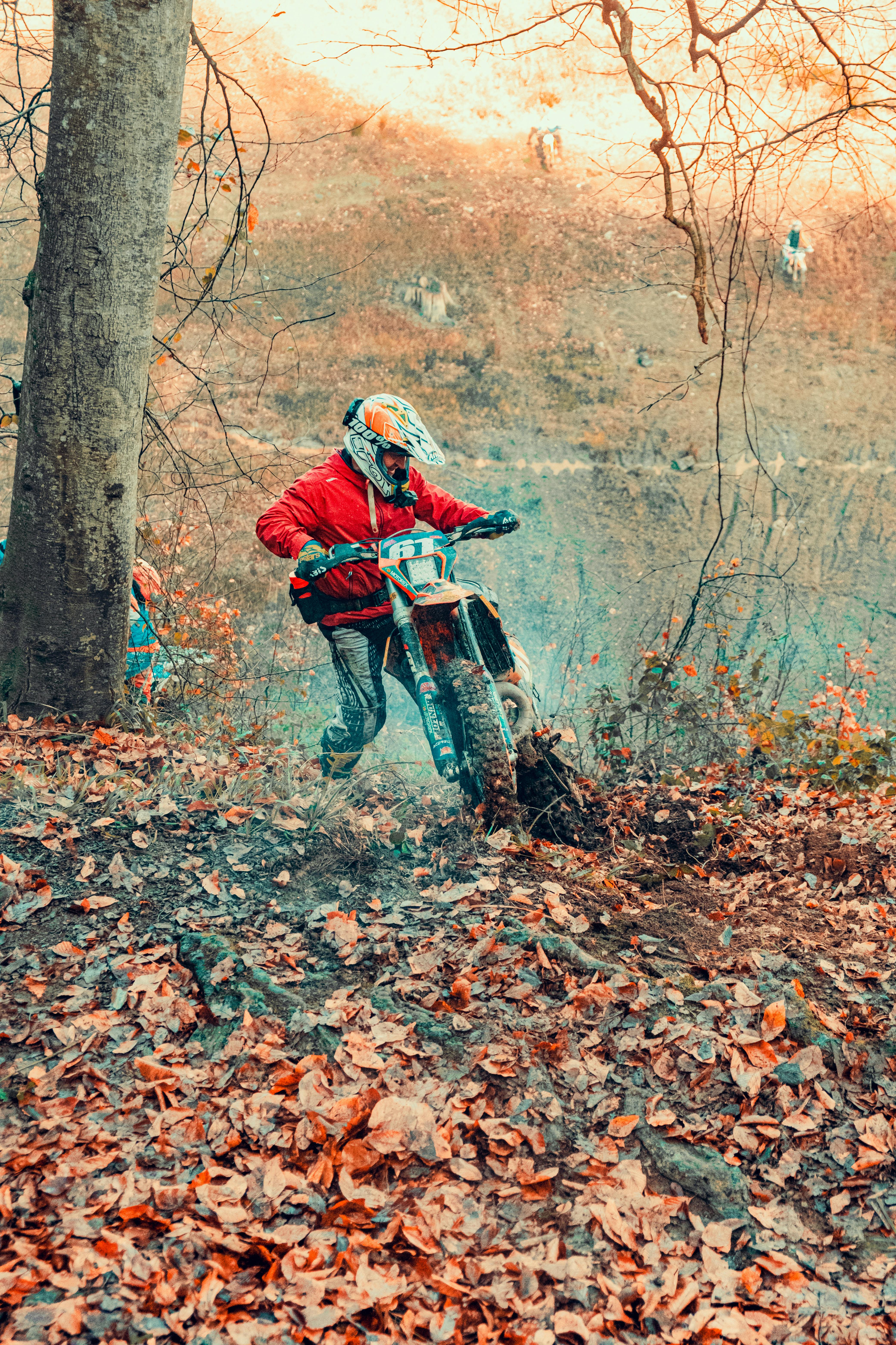 A Man Riding Motorcycle in the Forest · Free Stock Photo