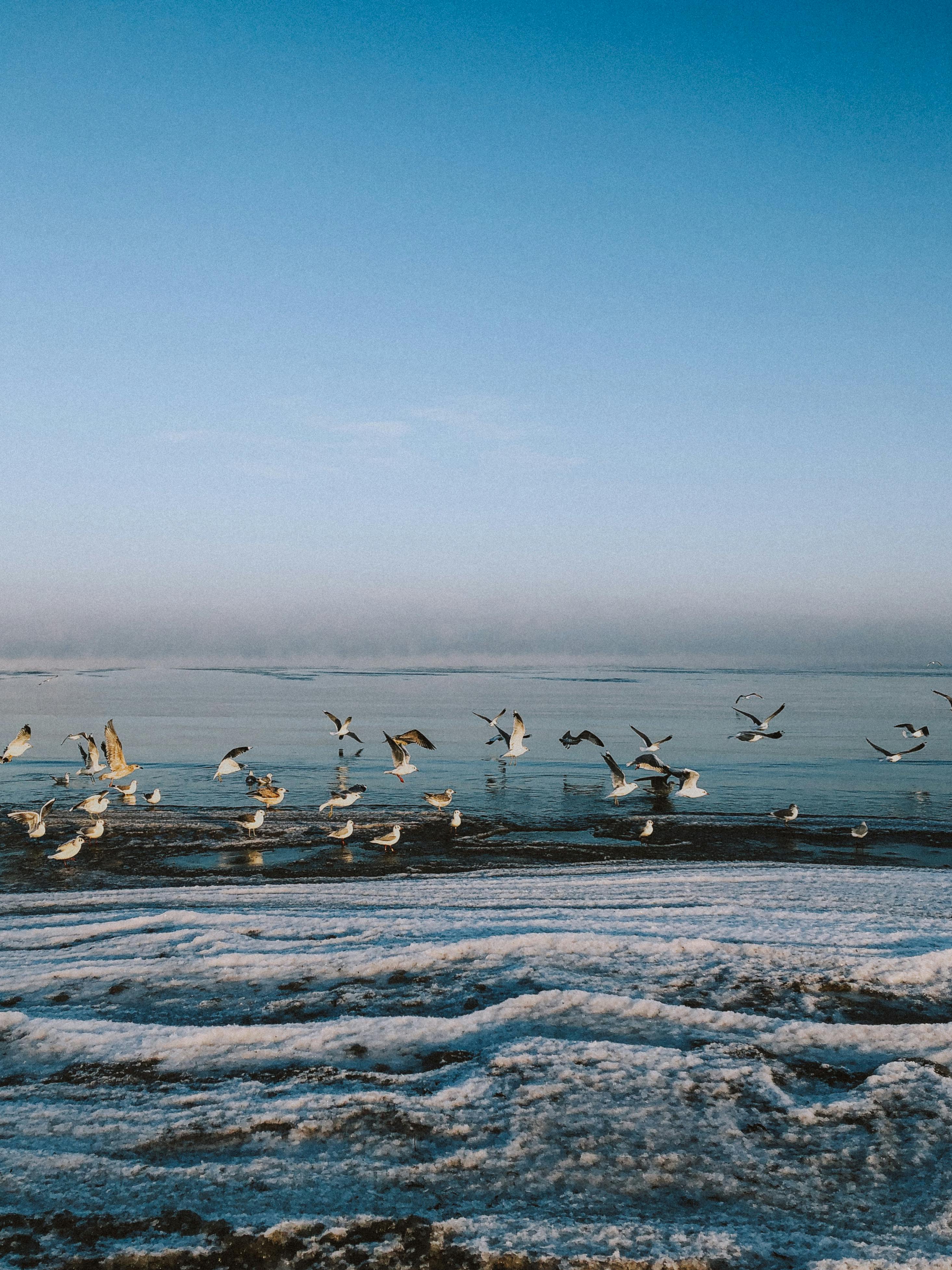 Audio Waves Photos, Download The BEST Free Audio Waves Stock Photos ...