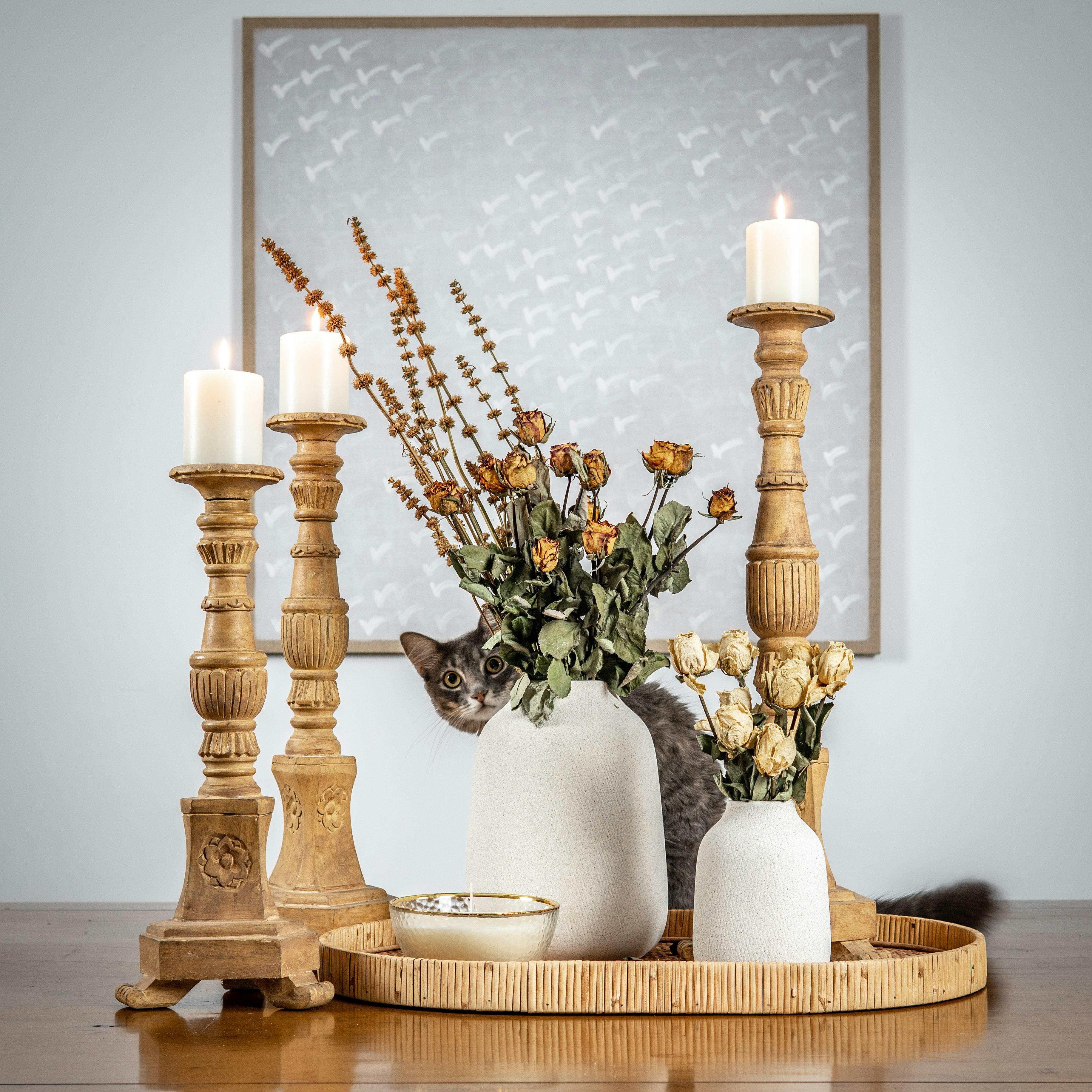 Vase Of Flowers Photos, Download The BEST Free Vase Of Flowers Stock ...