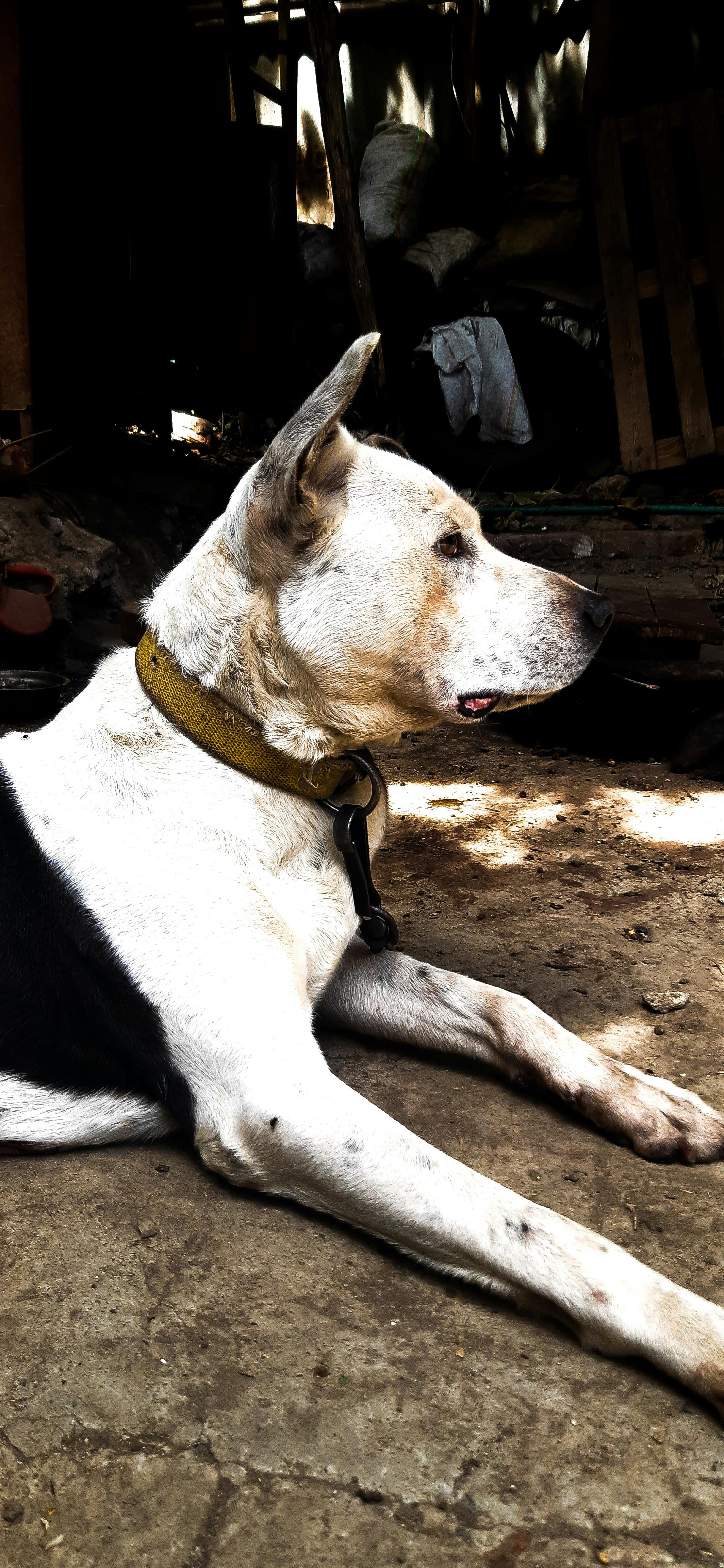 Emanuel David - Fotografía