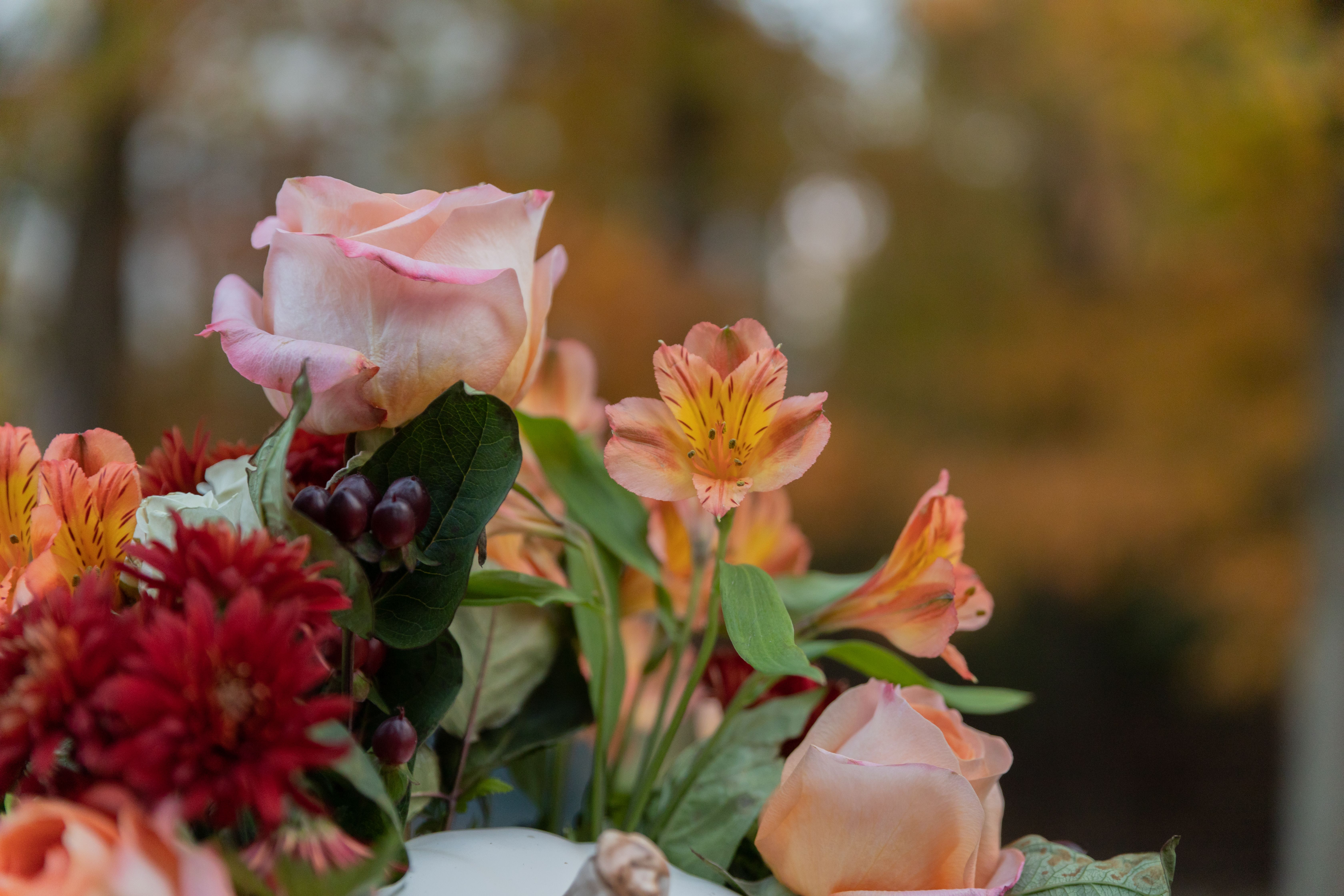 Rose and Peruvian Lily Bouquet · Free Stock Photo