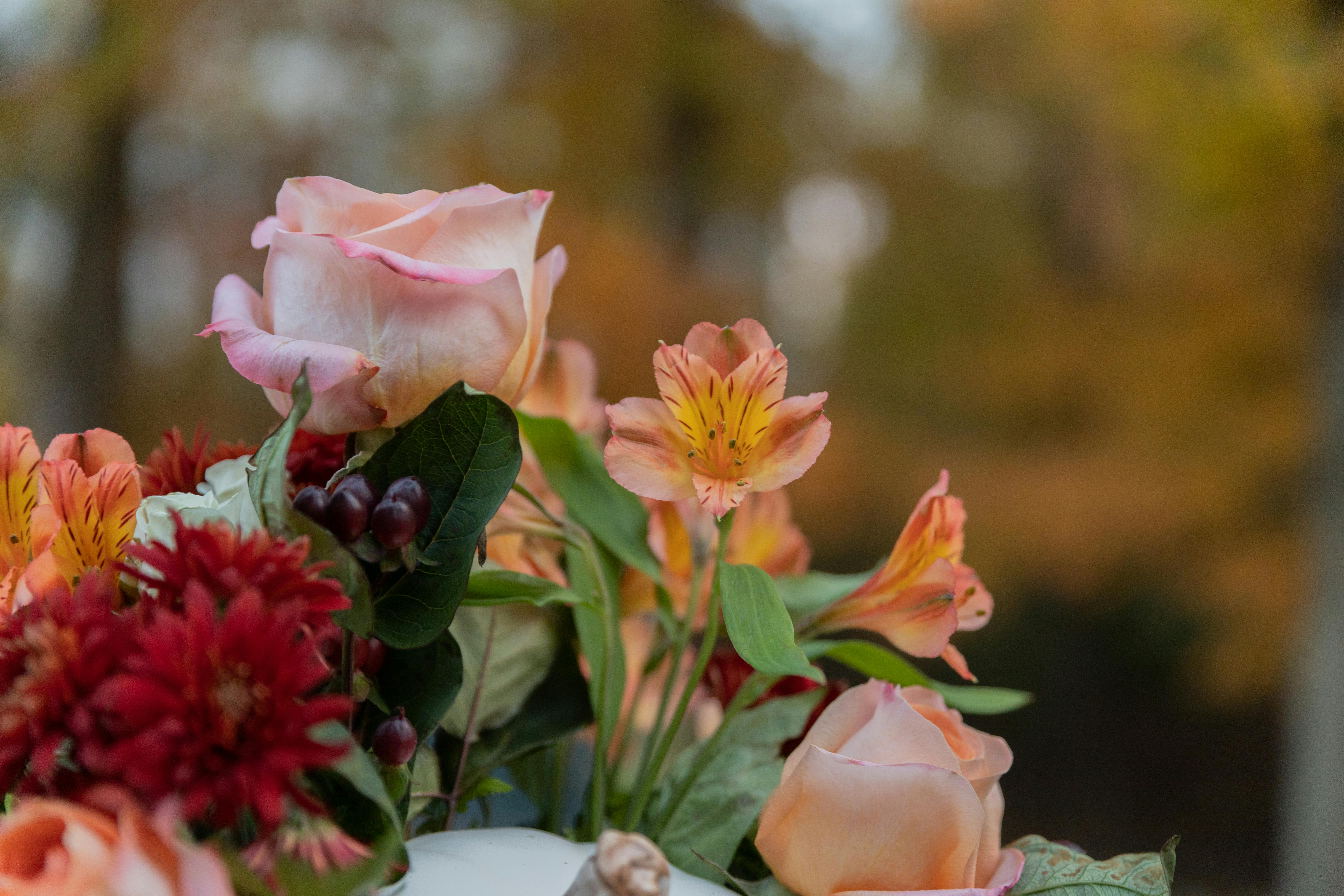 Rose and Peruvian Lily Bouquet · Free Stock Photo