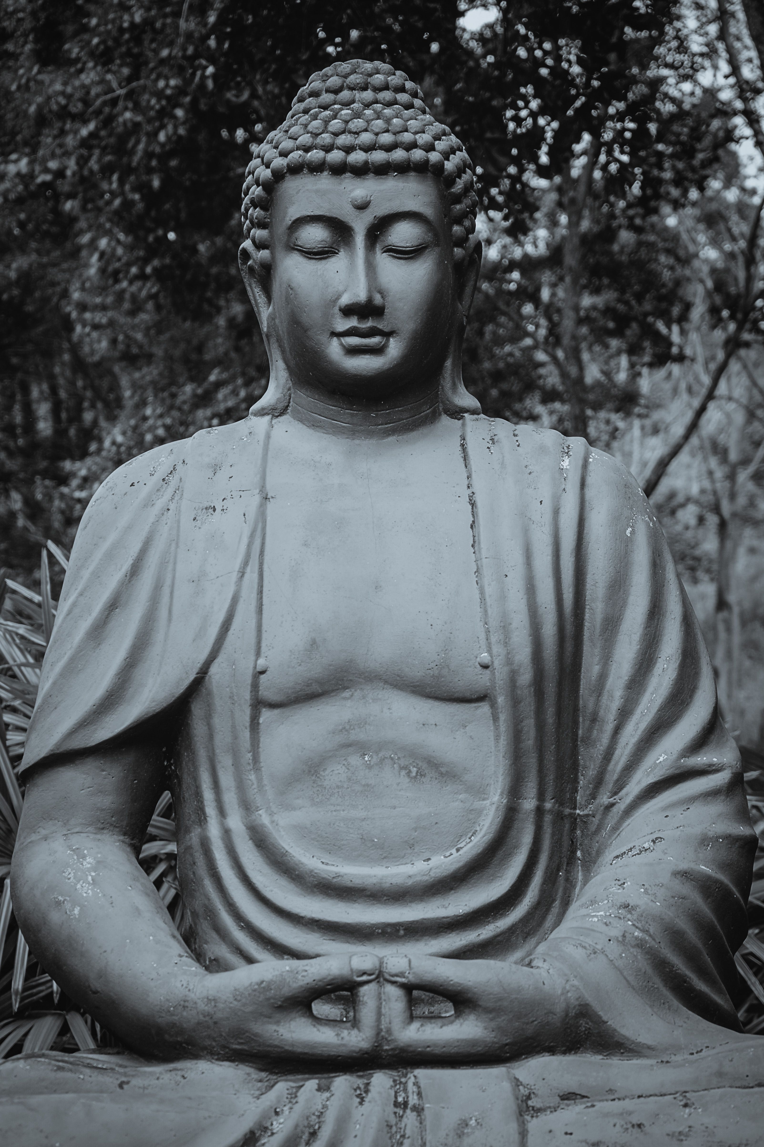 Foto de stock gratuita sobre blanco y negro, buda, deidad, dios ...