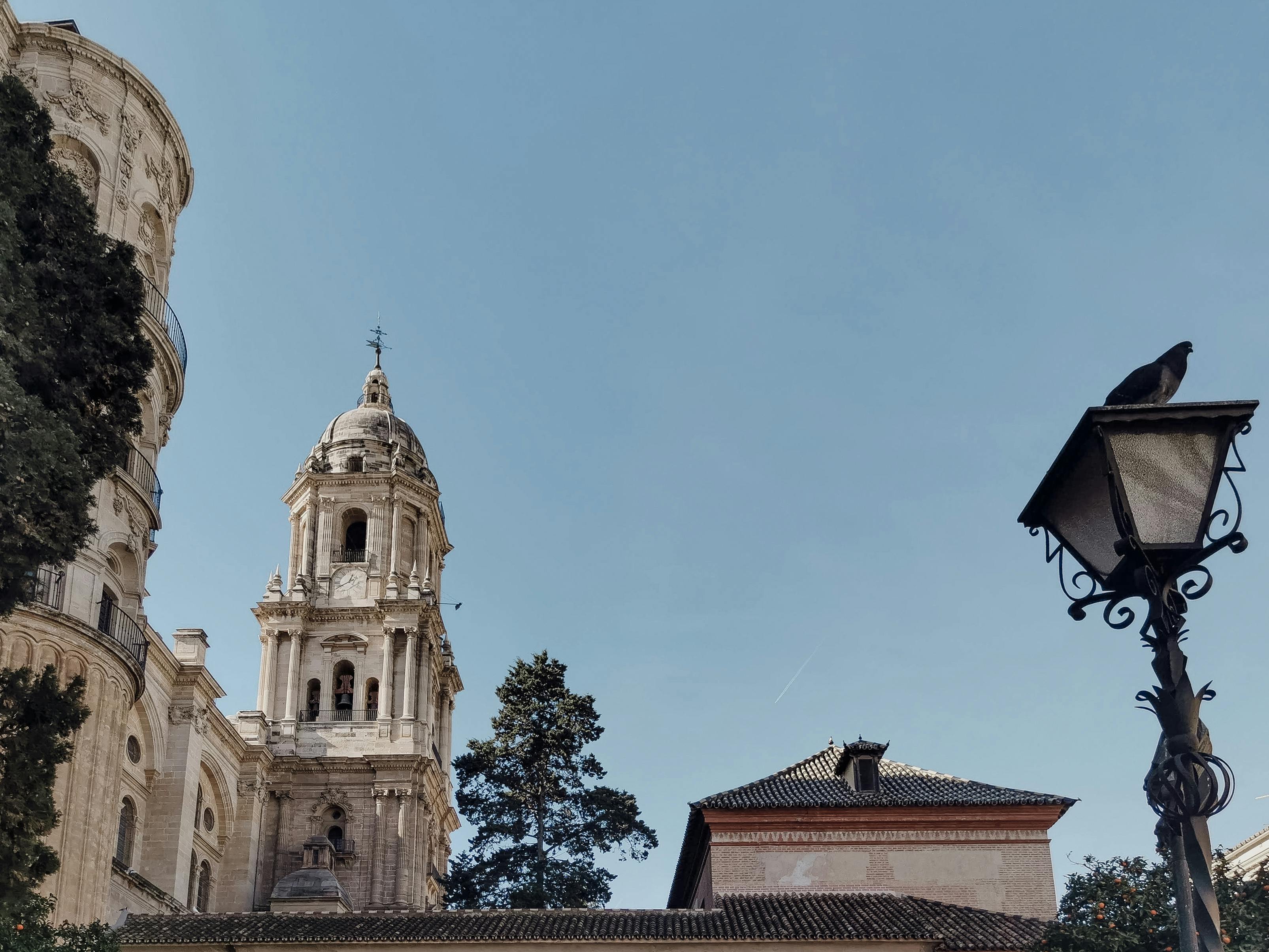 Church Crow Photos, Download The BEST Free Church Crow Stock Photos ...