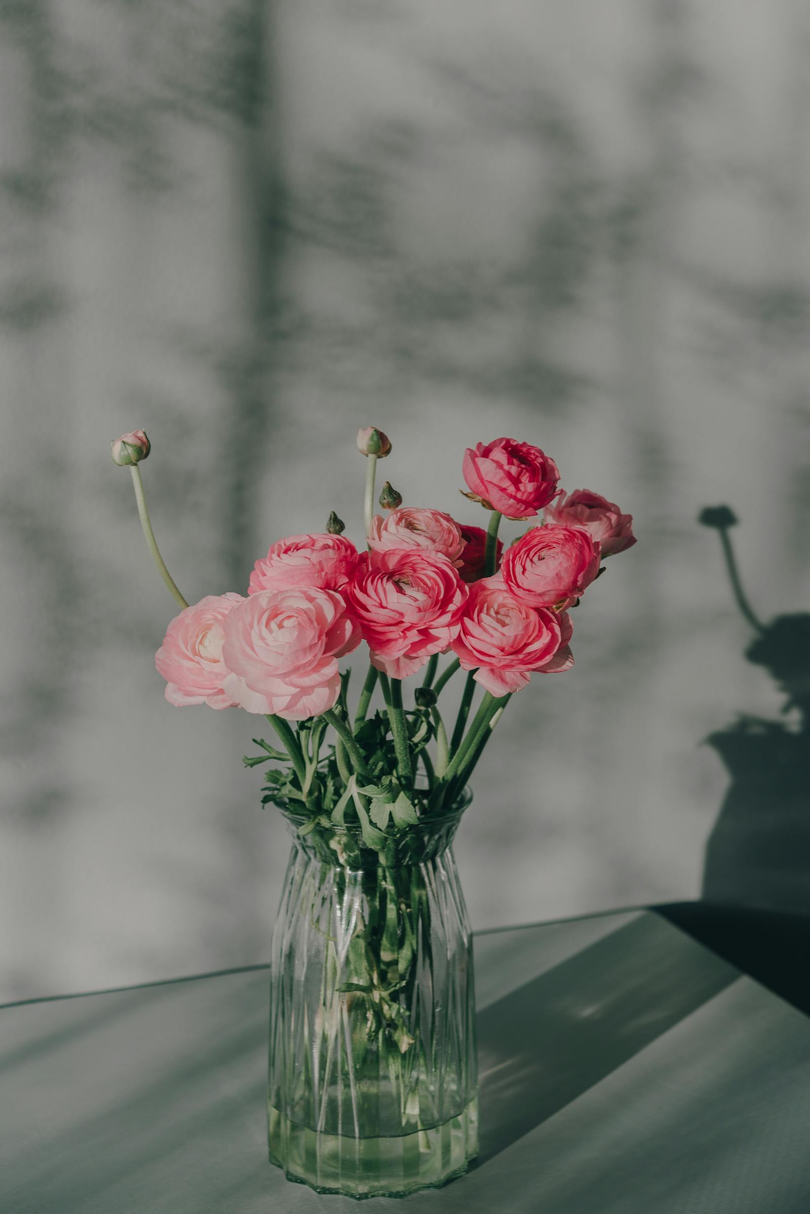 Vase Of Flowers Photos, Download The BEST Free Vase Of Flowers Stock ...