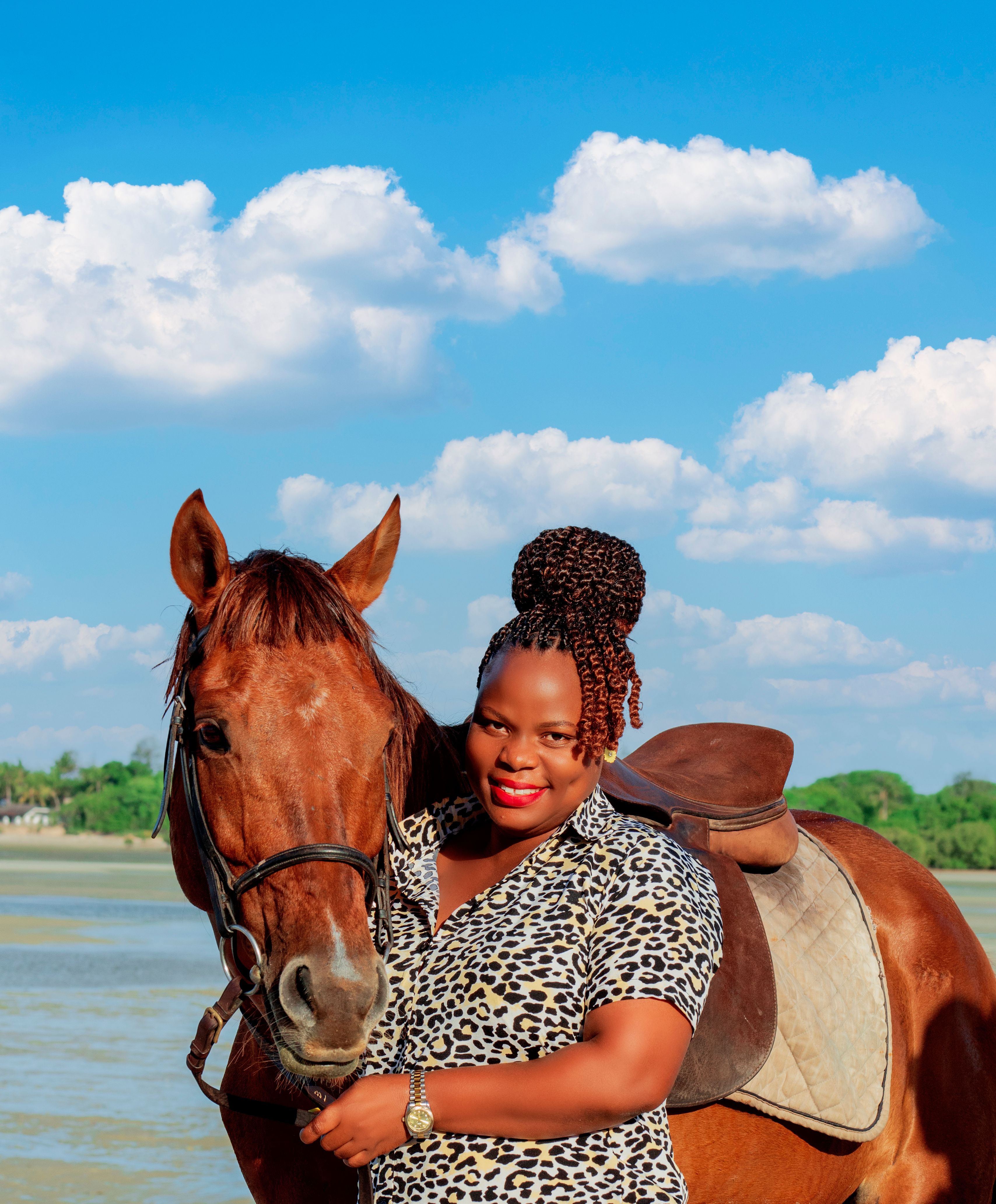 Horse Saddled Up Photos, Download The BEST Free Horse Saddled Up Stock ...