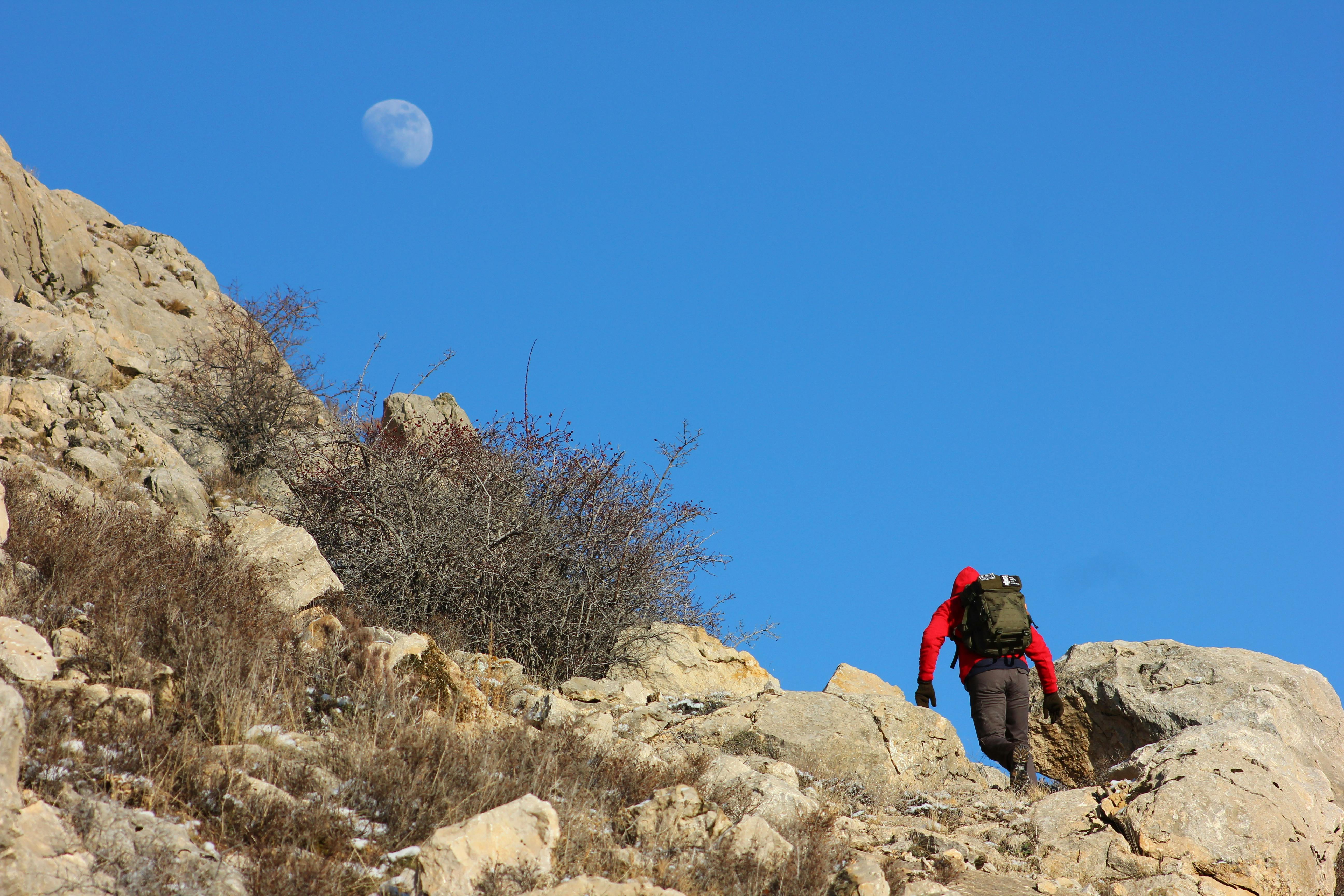 Man Carrying a Backpack · Free Stock Photo