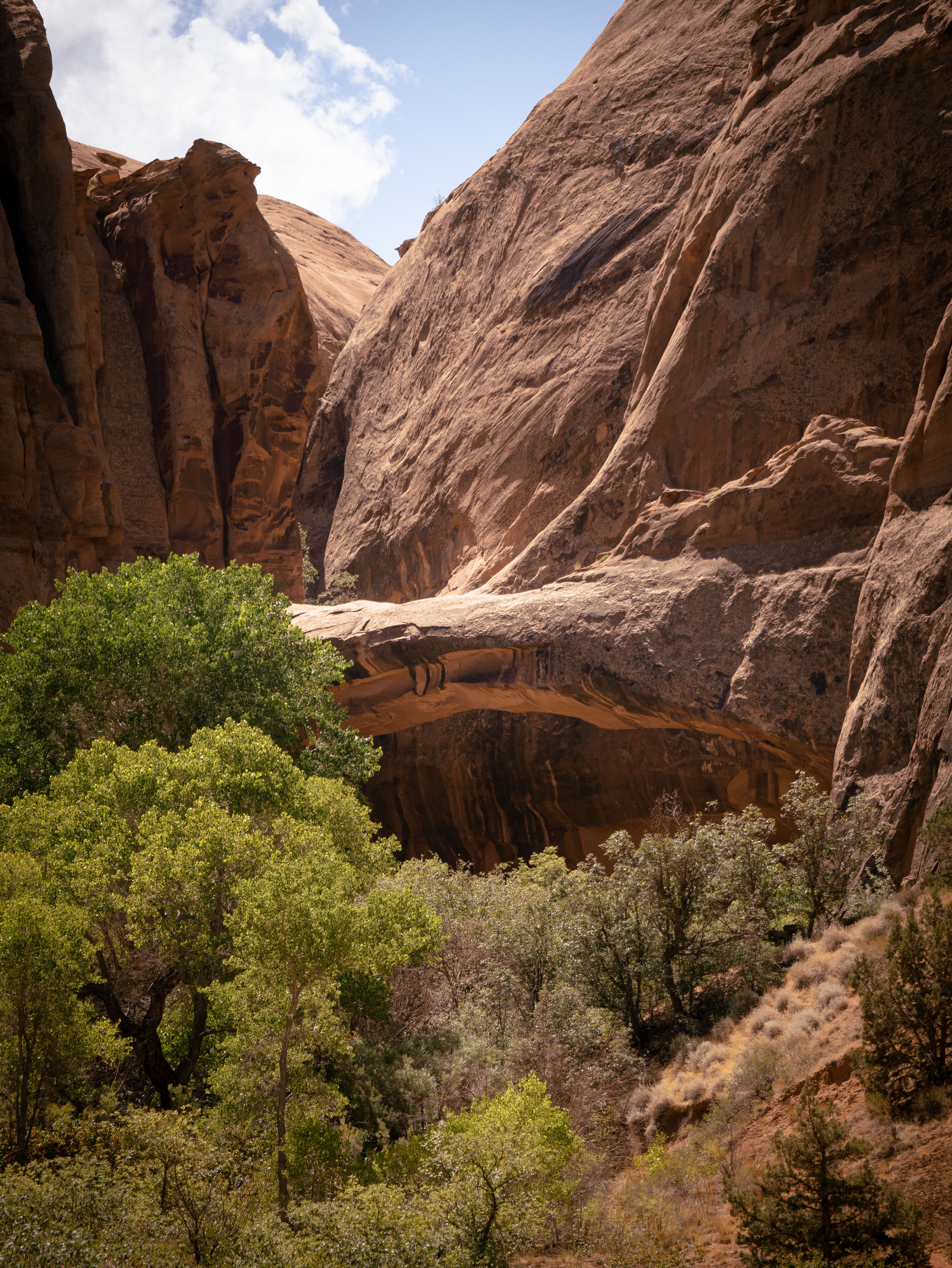 Landscape of Arches National Park in Utah, USA · Free Stock Photo