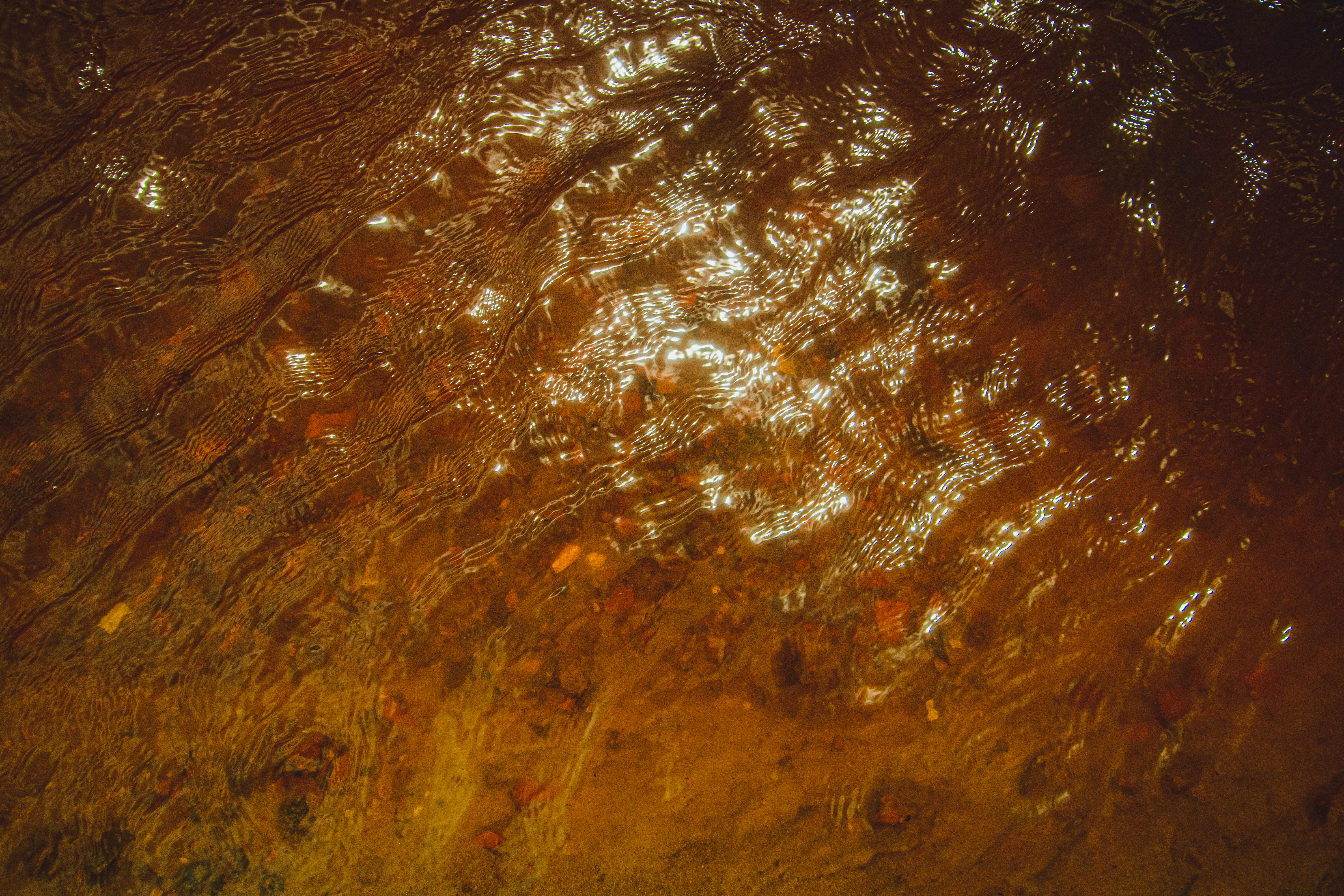 Ripples on River Surface · Free Stock Photo