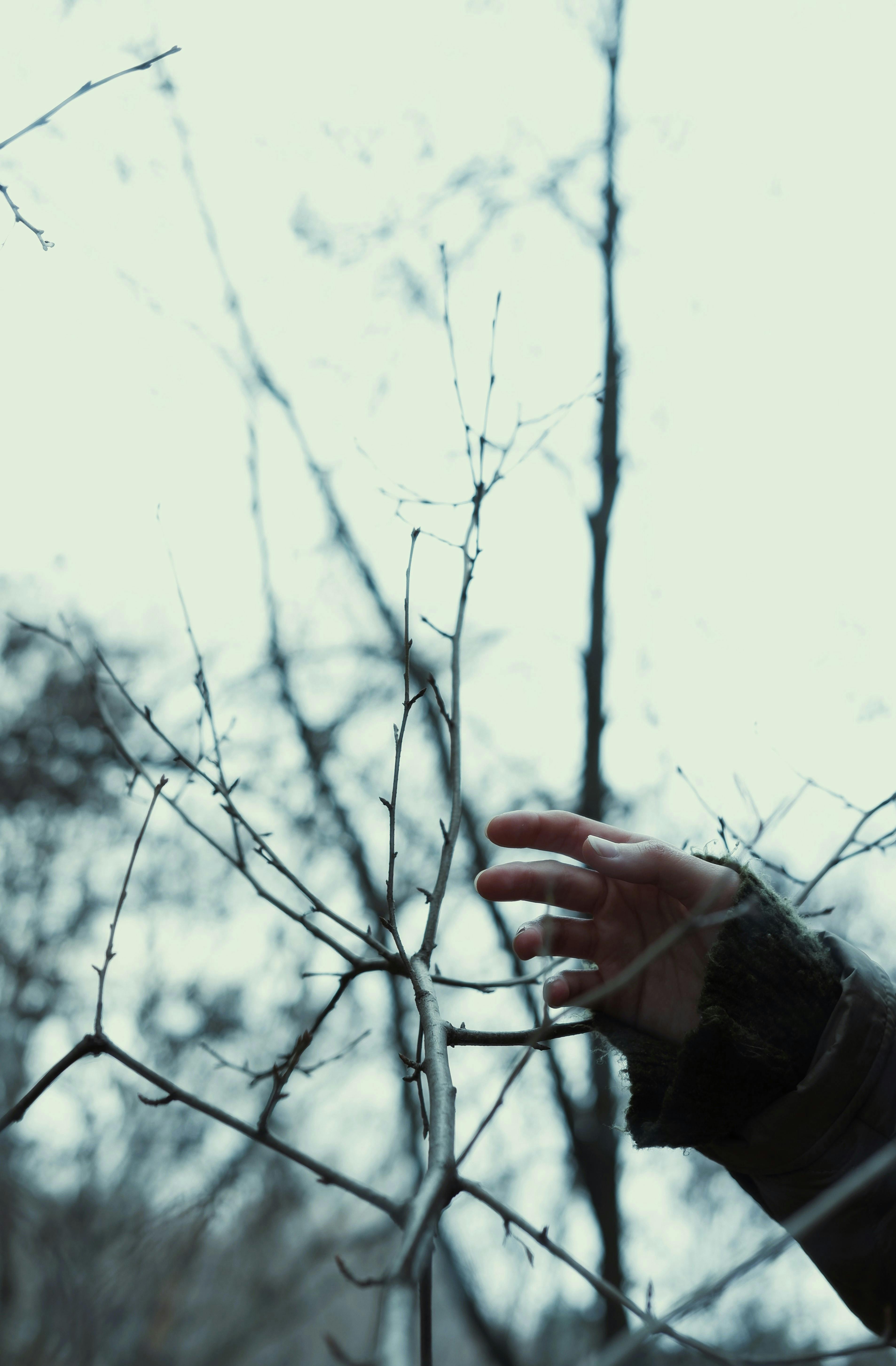 Philotes Photos, Download The BEST Free Philotes Stock Photos & HD Images