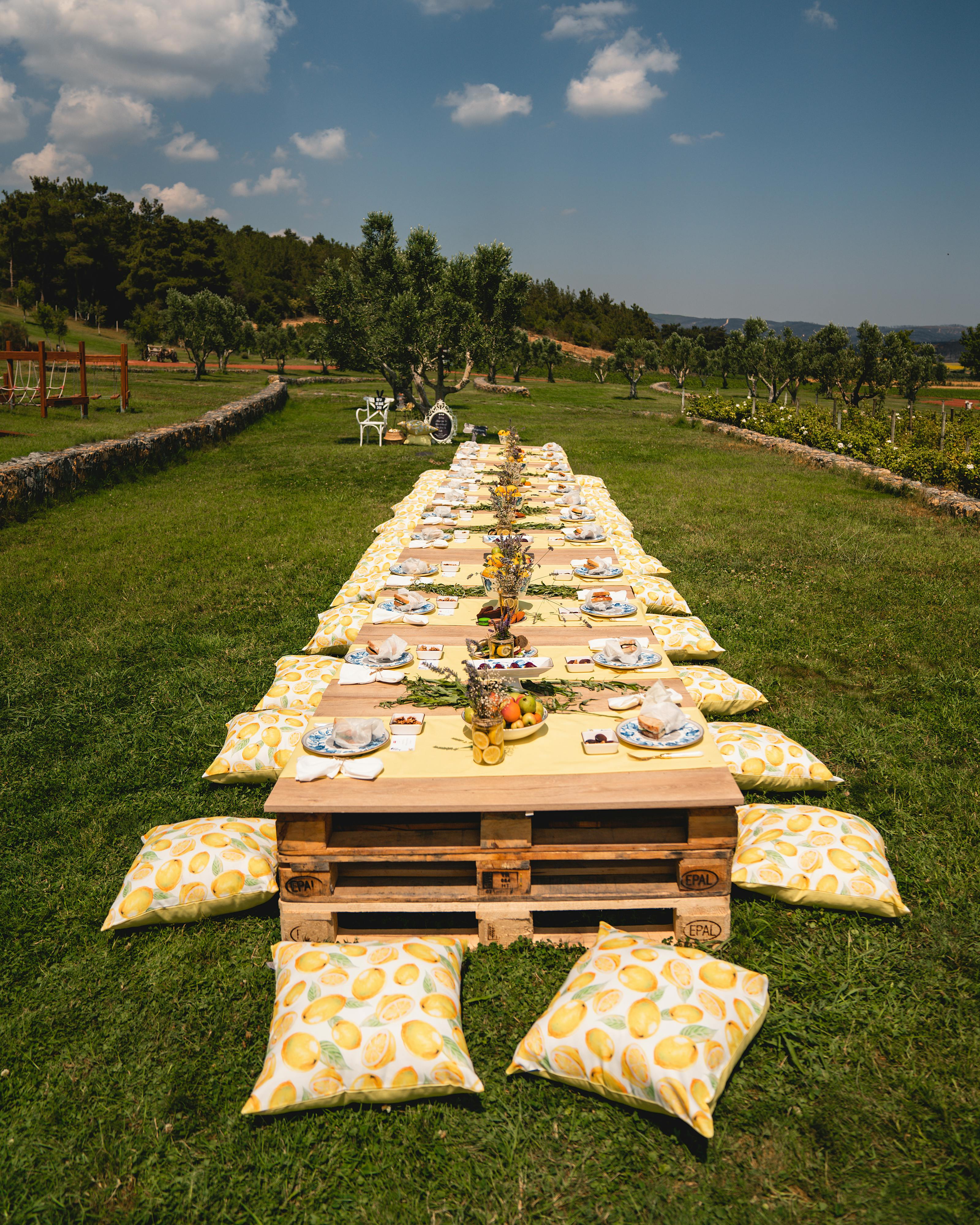 Table Made from Pallets · Free Stock Photo