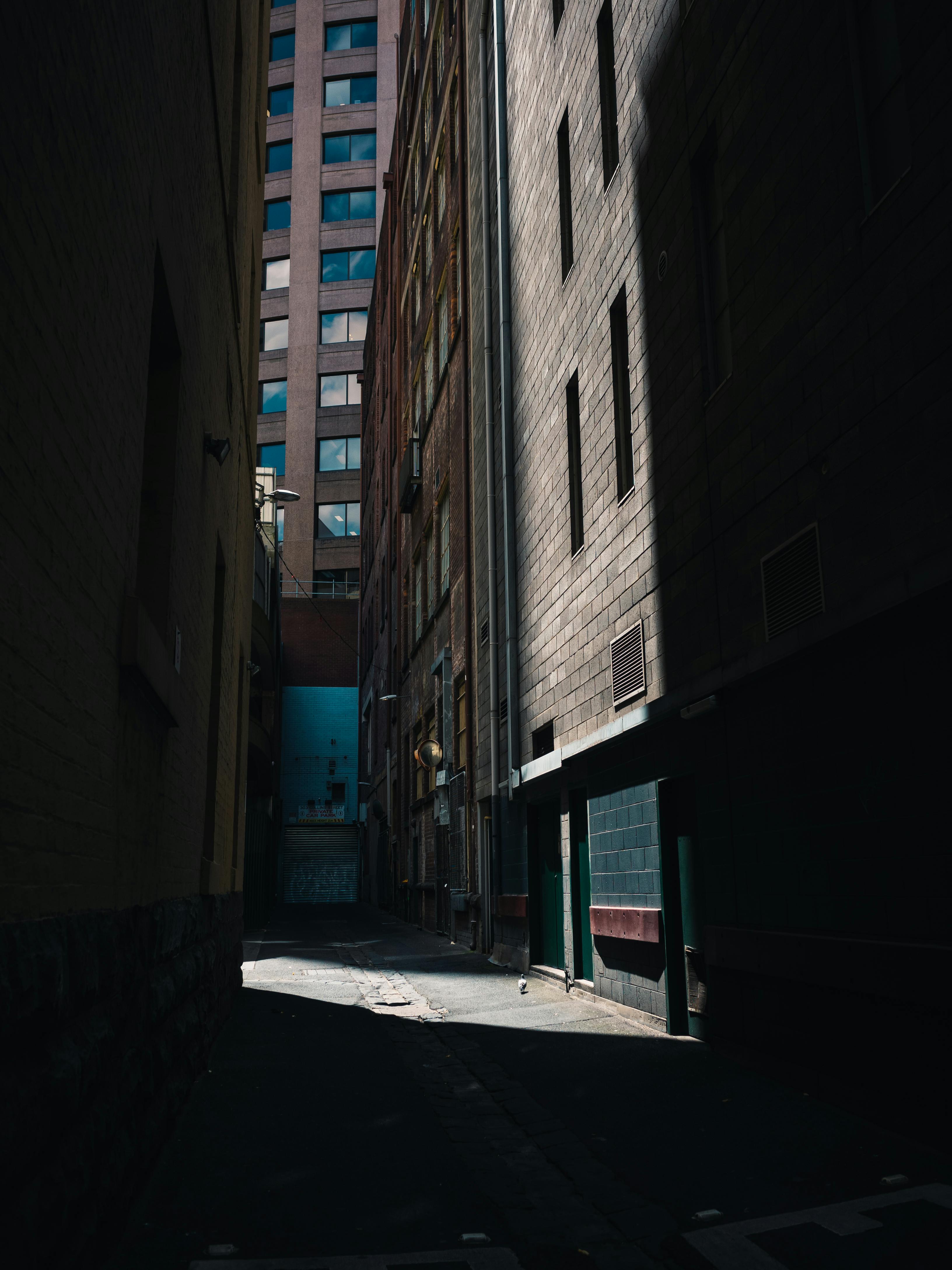 Criminal Shadow Photos, Download The BEST Free Criminal Shadow Stock ...