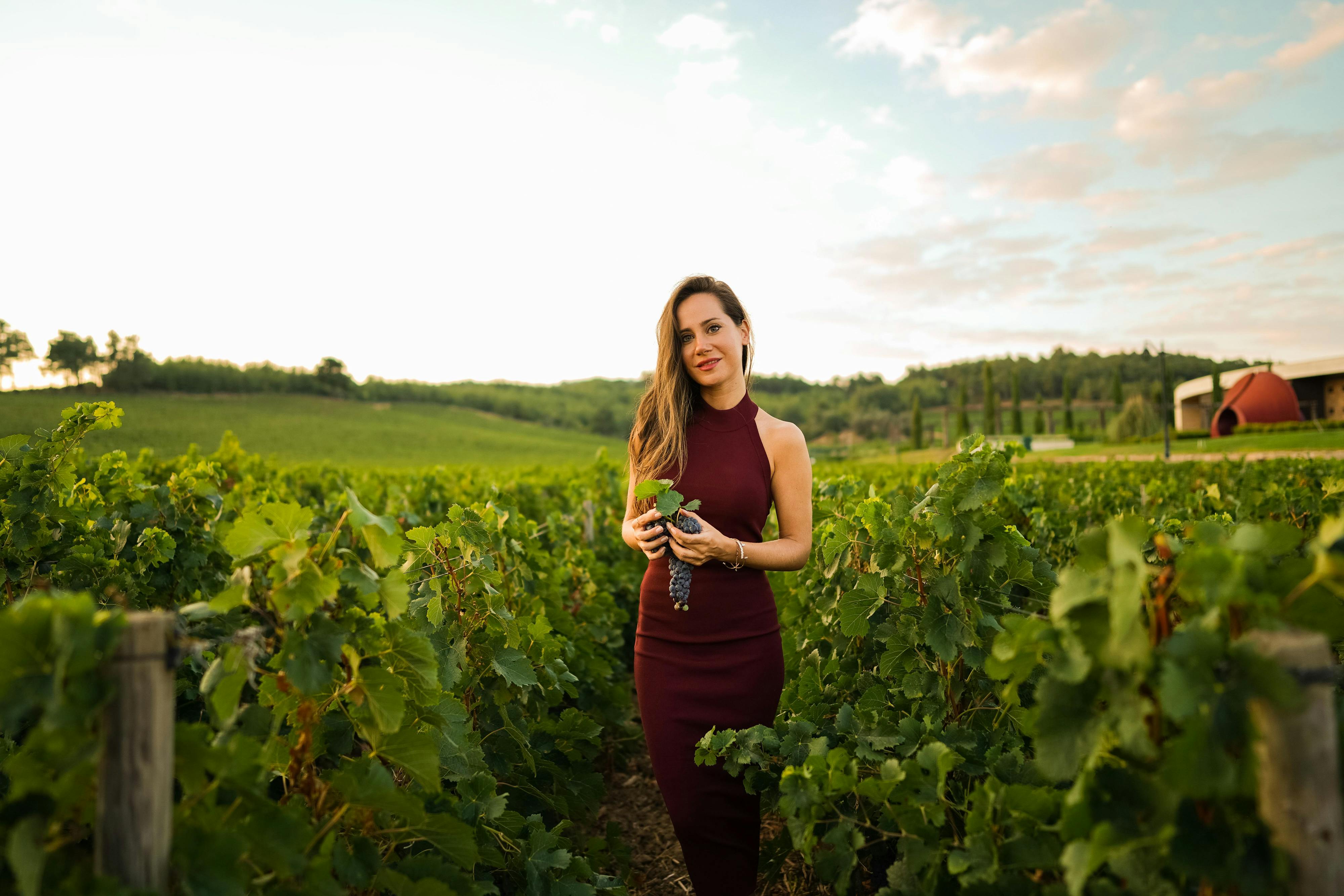 Lemon Land Photos, Download The BEST Free Lemon Land Stock Photos & HD ...