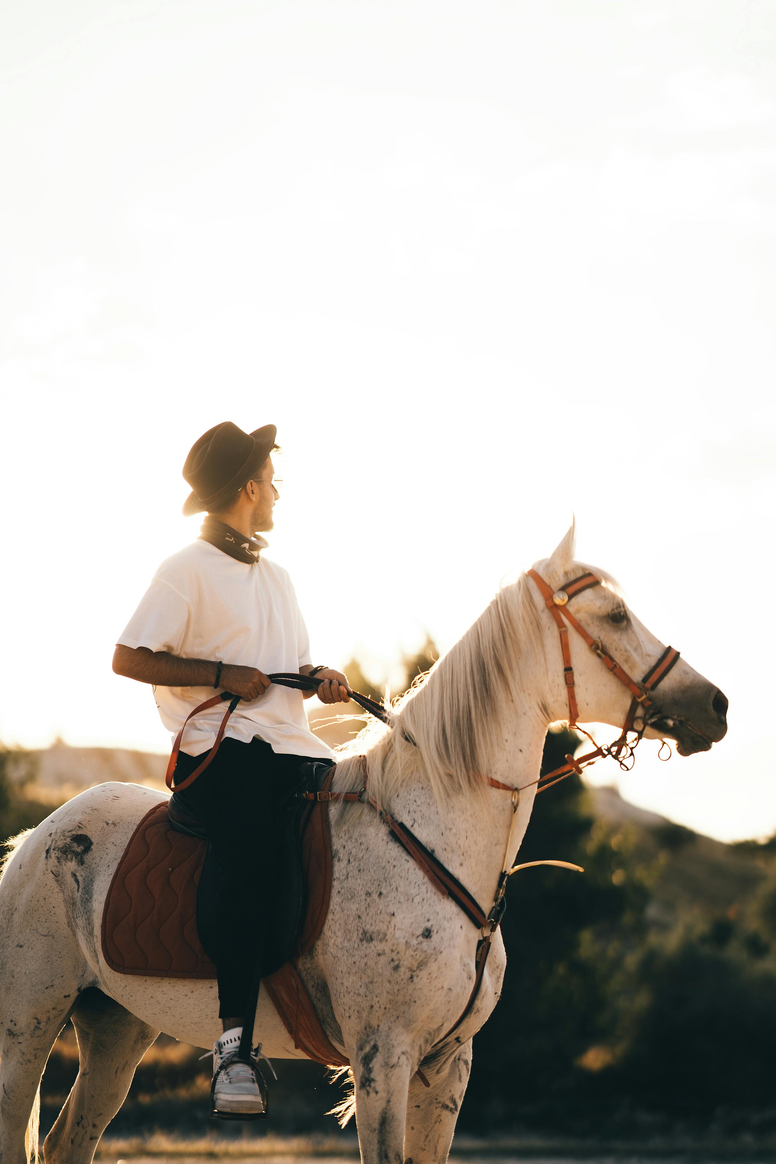 A Man Riding a White Horse During Golden Hour · Free Stock Photo