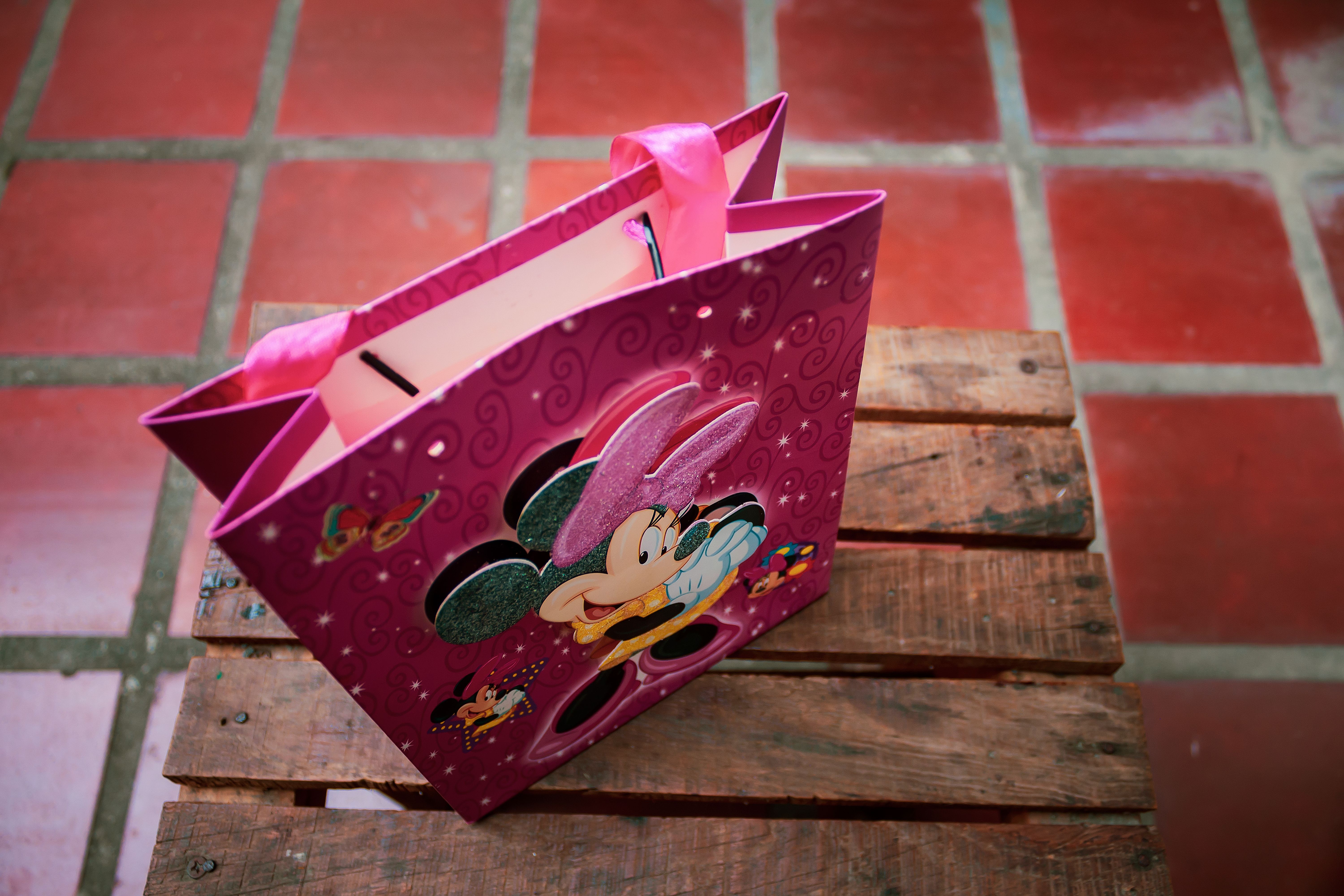 Pink Bag with Minnie Mouse · Free Stock Photo