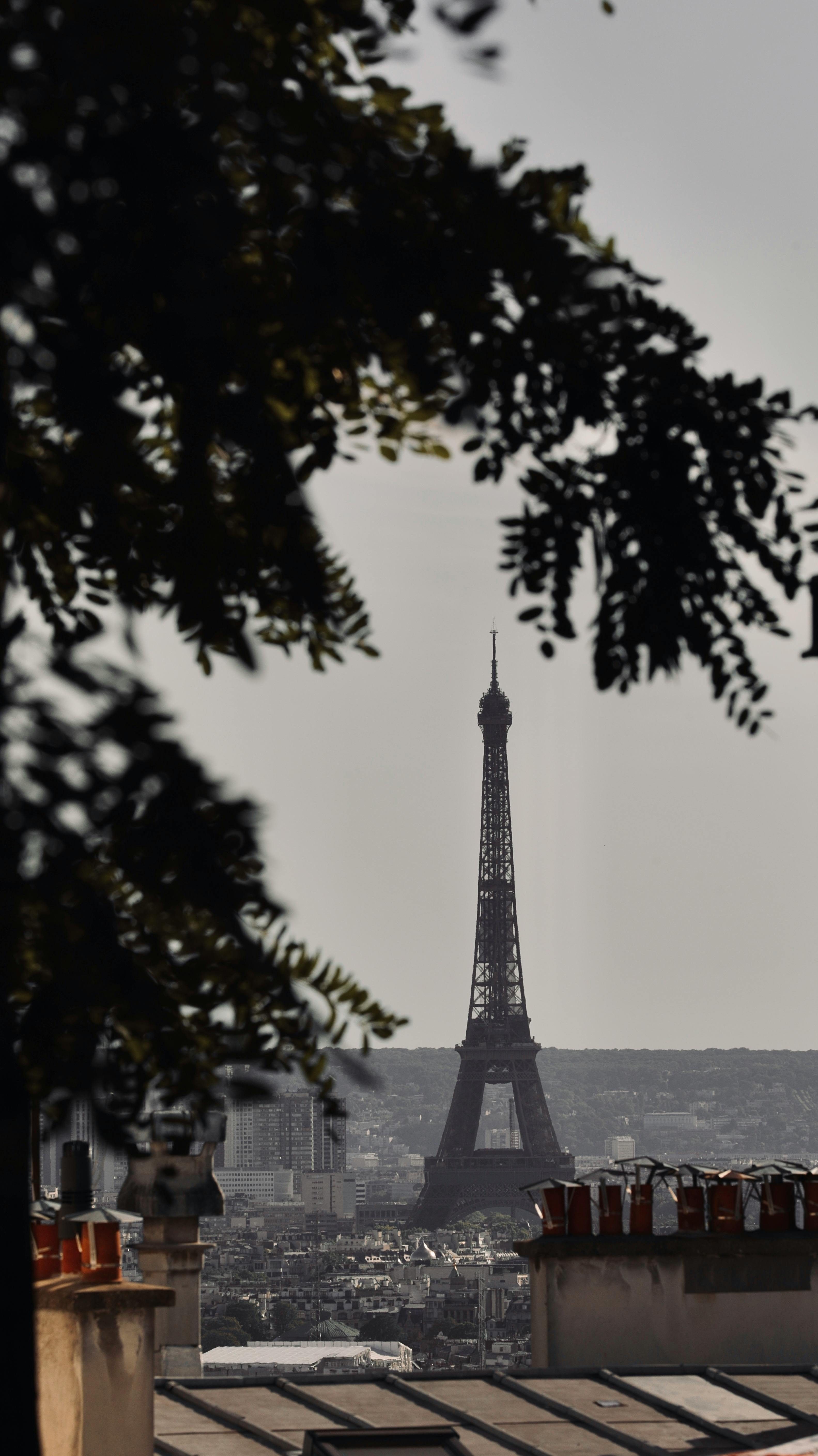 View of Eiffel Tower from Afar · Free Stock Photo