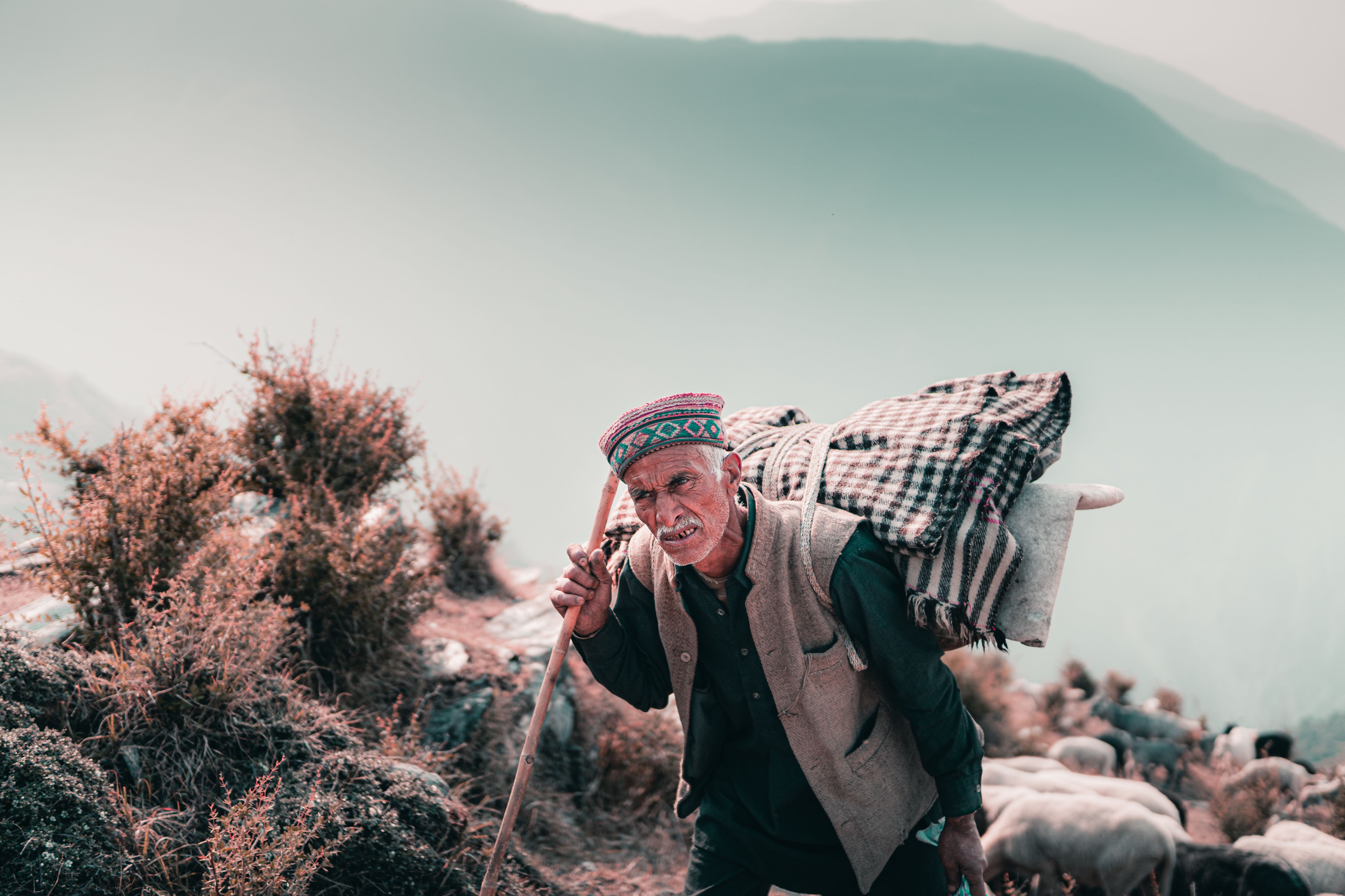Farmer Working in Field · Free Stock Photo