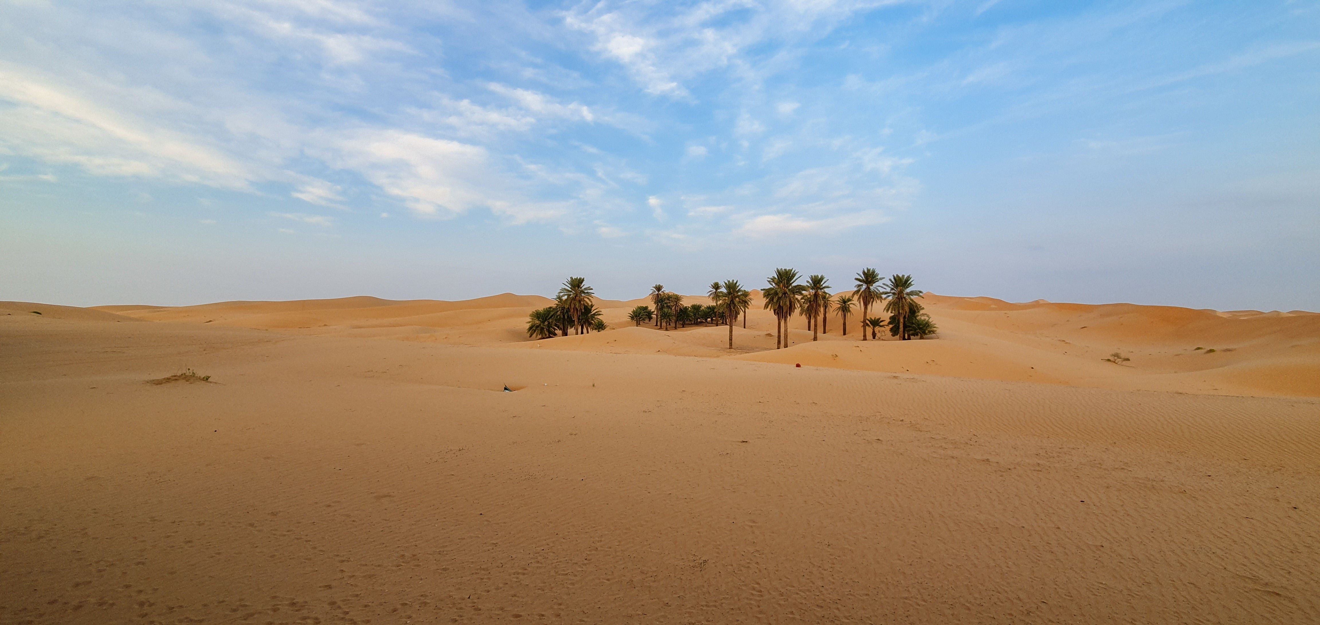 Water Flowing into Lake in Oasis in Desert · Free Stock Photo