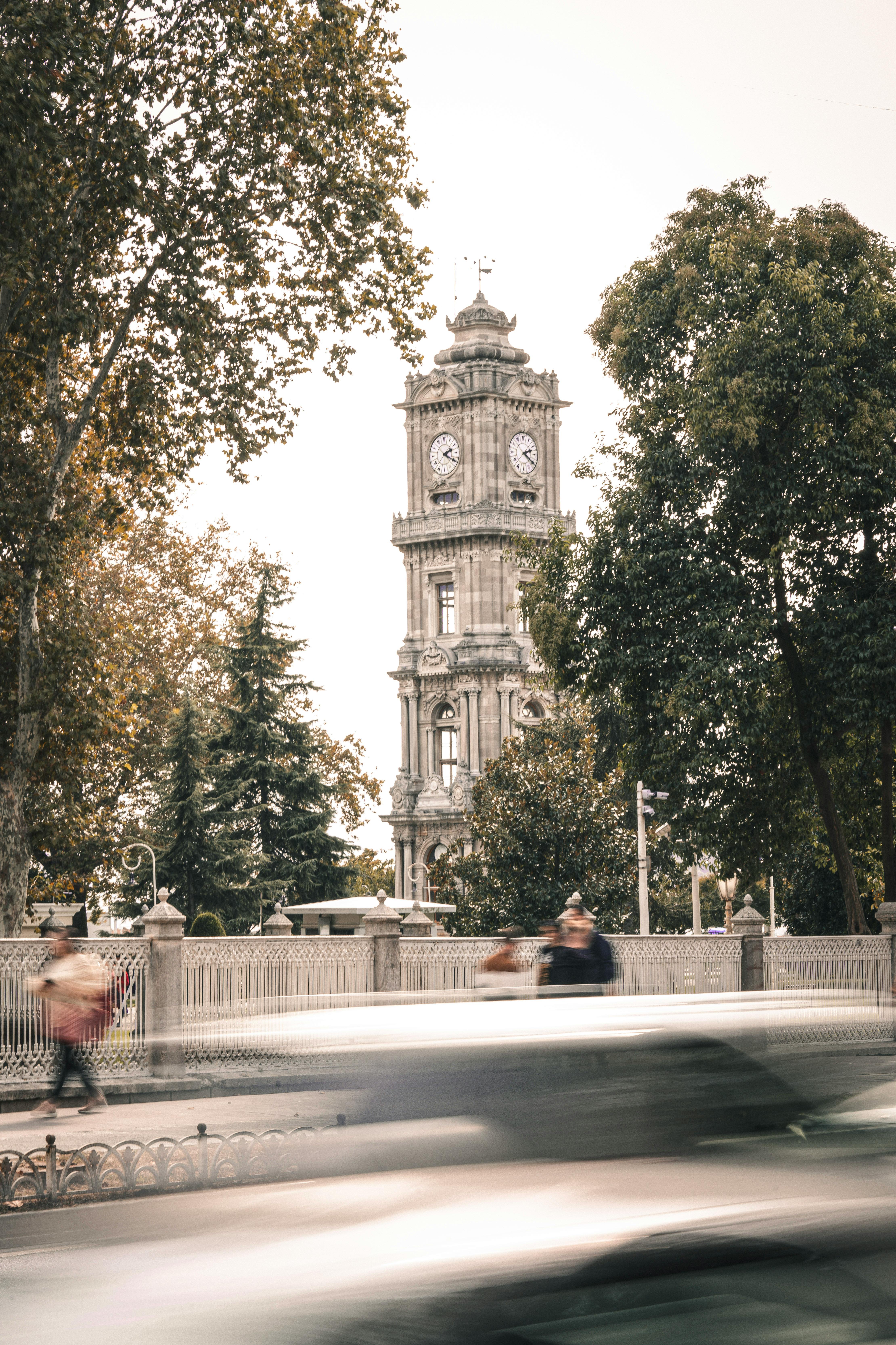 Clock Tower and Trees · Free Stock Photo