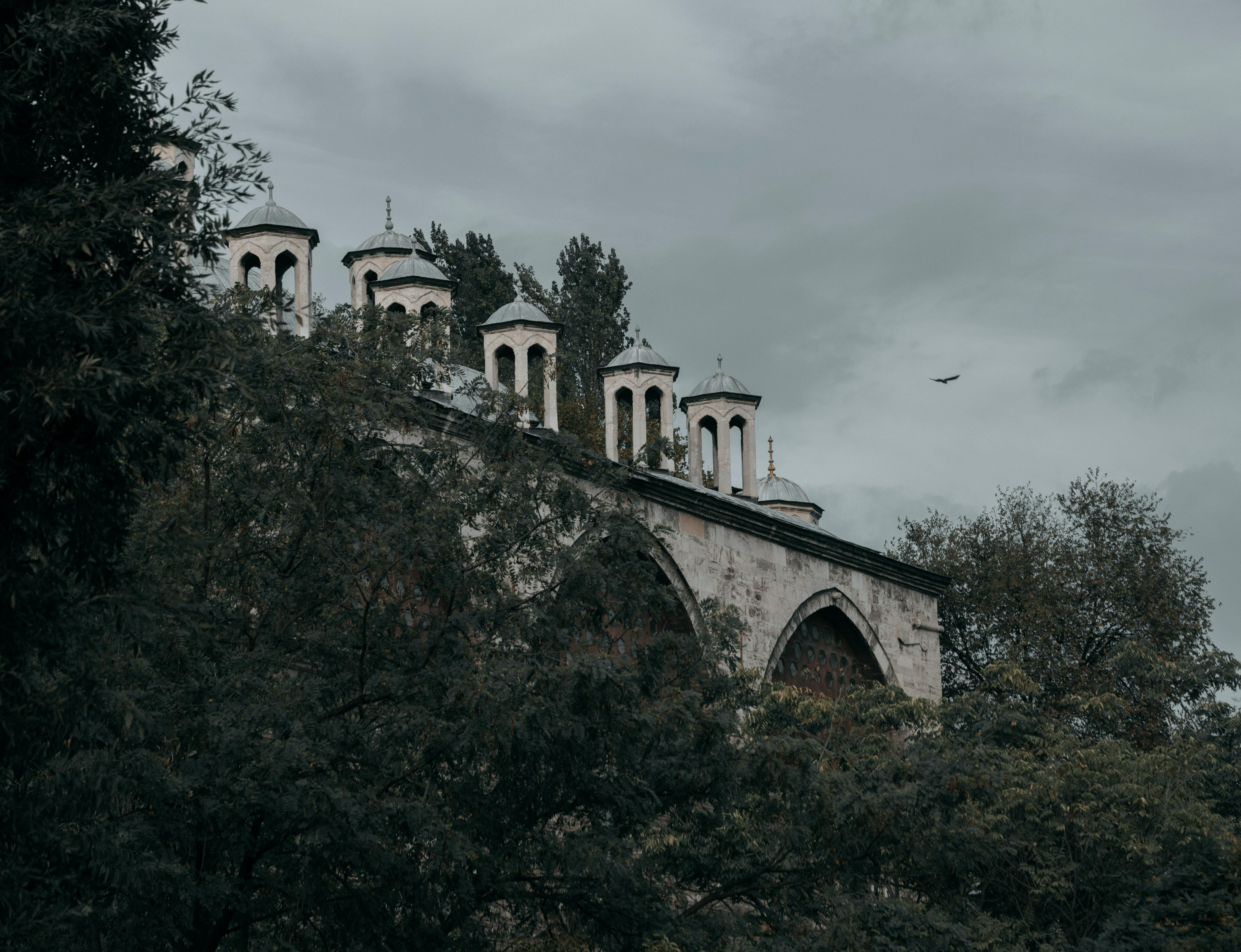 Building Between Trees · Free Stock Photo