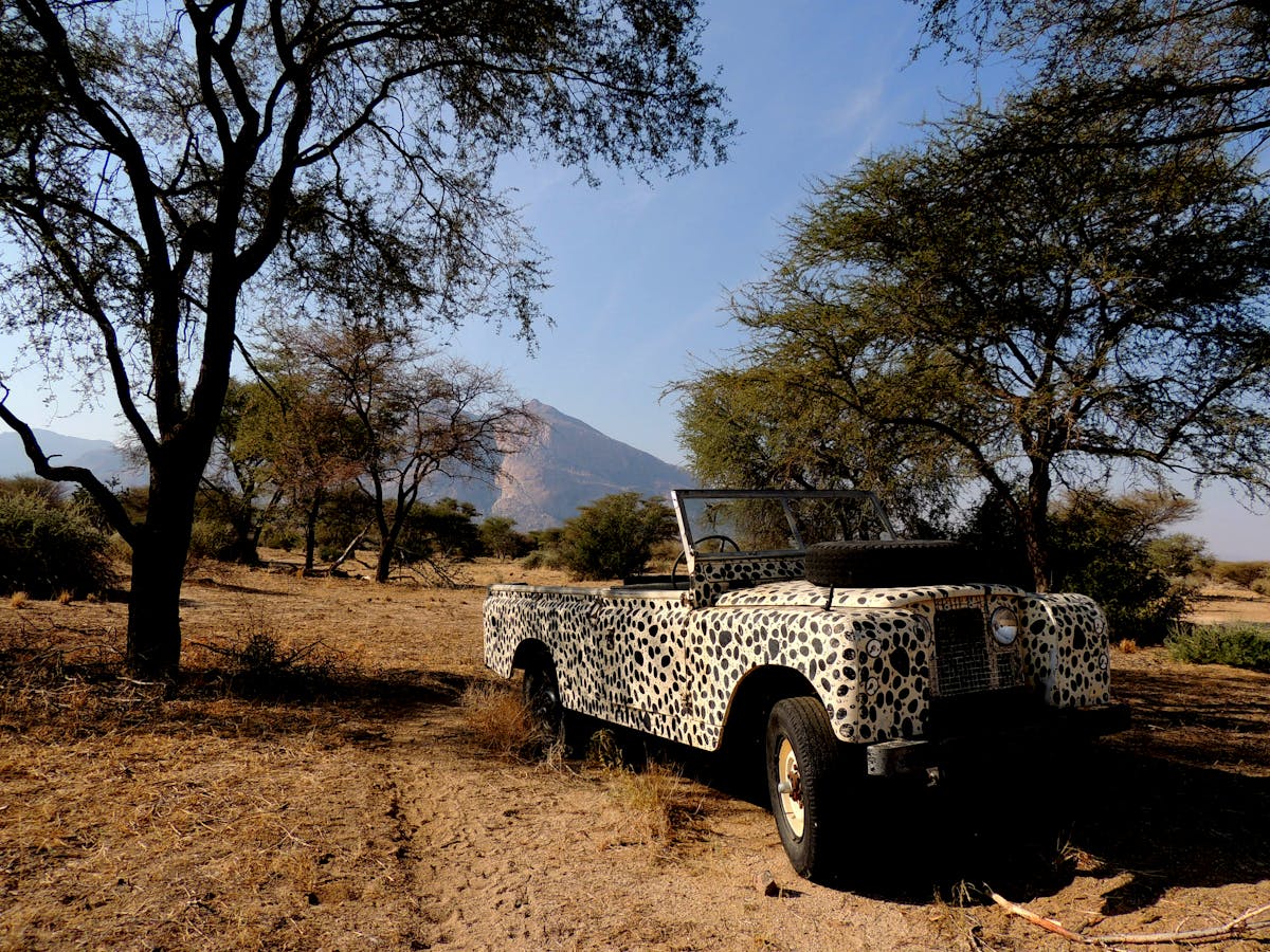 Safari Jeep Photos, Download The BEST Free Safari Jeep Stock Photos ...