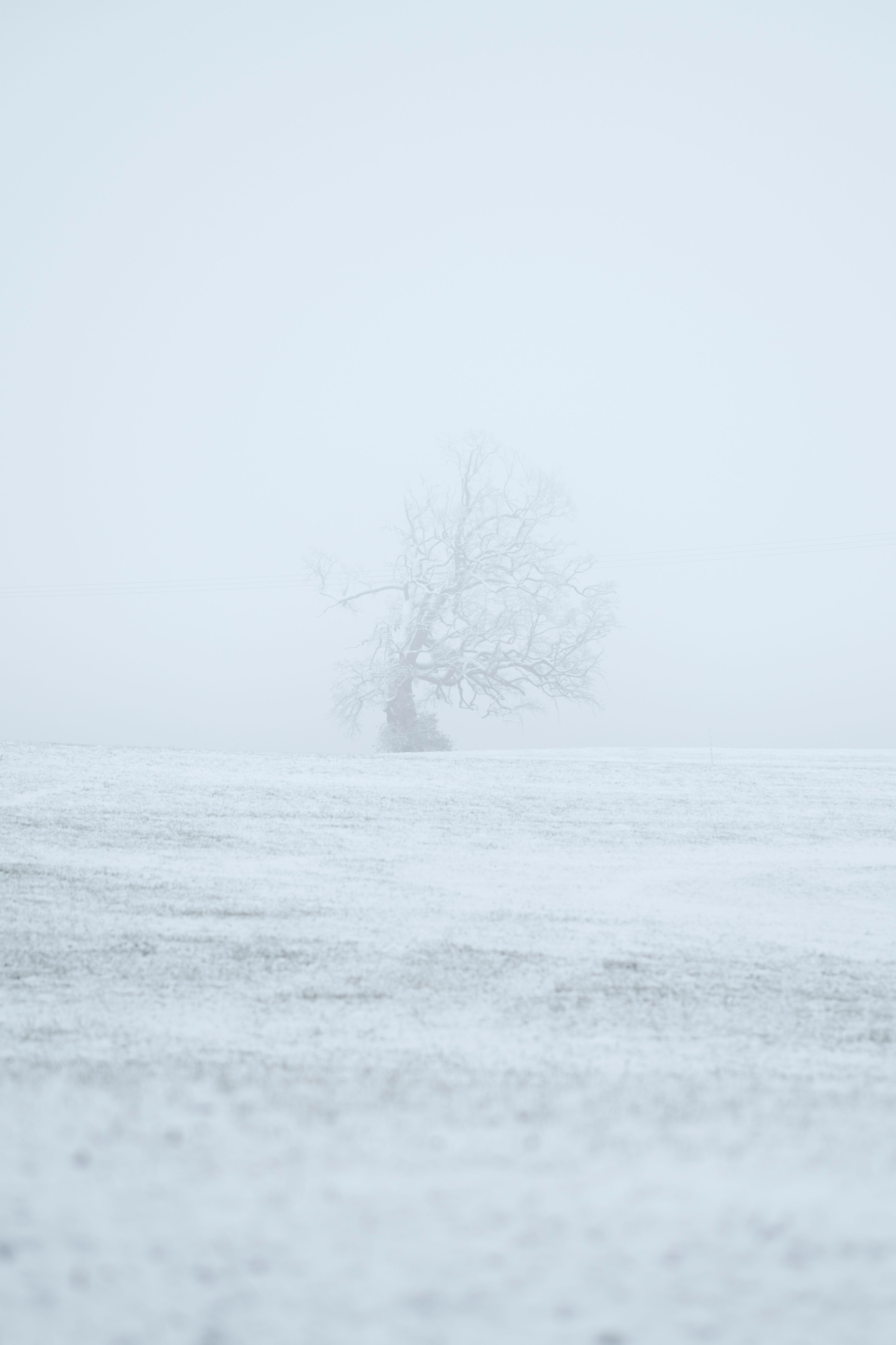 Winter Blizzard Photos, Download Free Winter Blizzard Stock Photos & HD ...