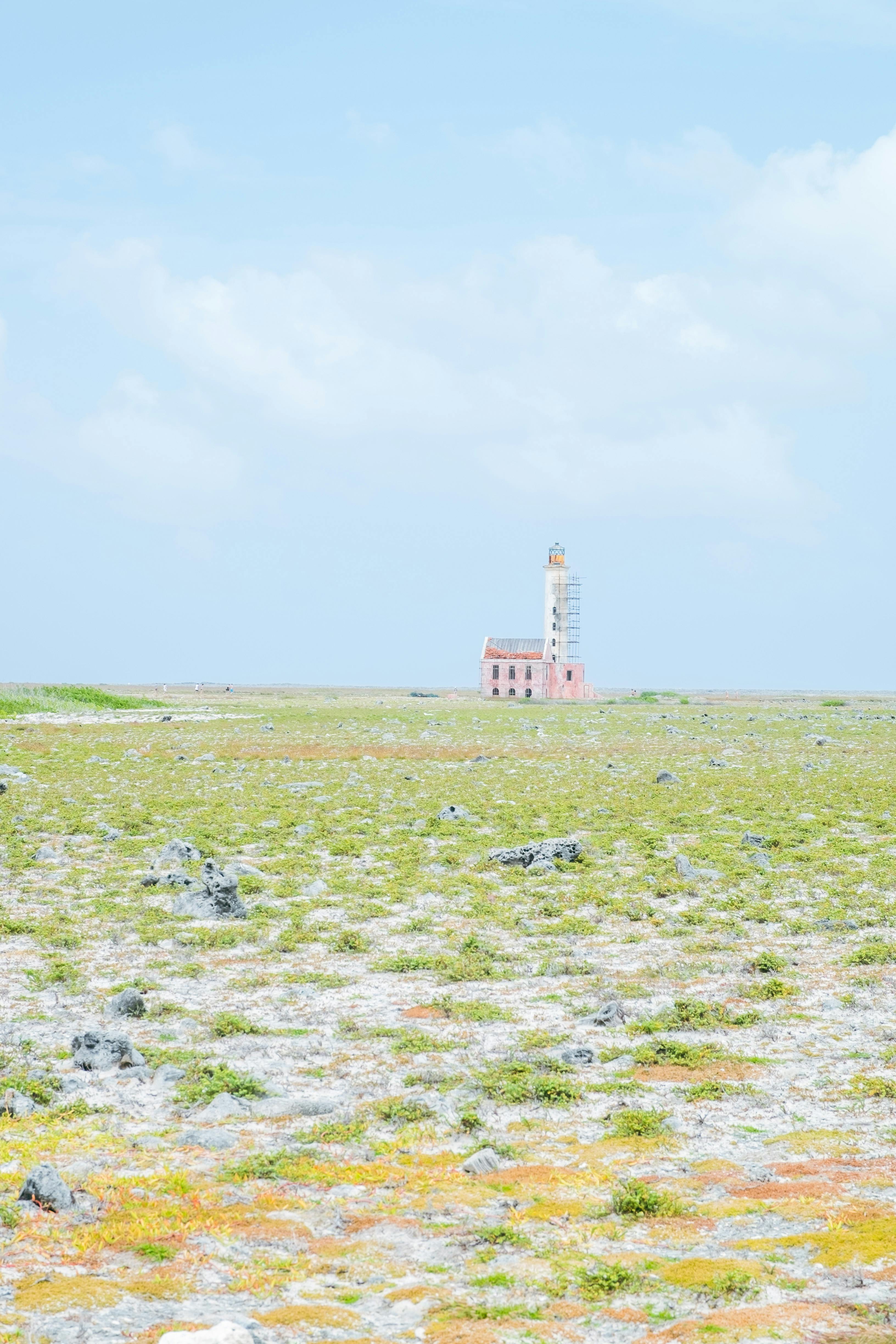 Grasses Bent by Wind on Plains · Free Stock Photo