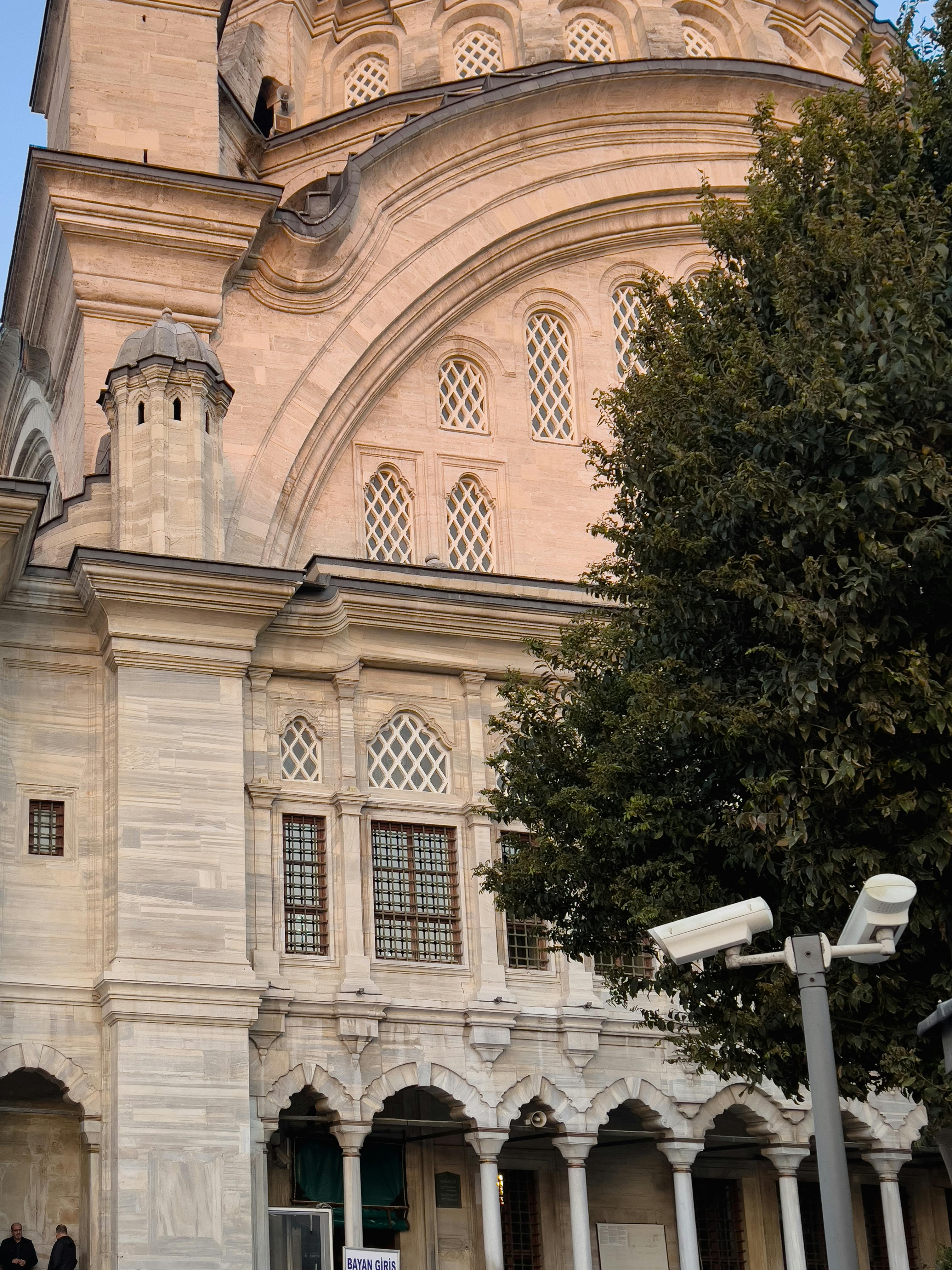 The Tree of Life in Pearl Harbor, Hawaii · Free Stock Photo