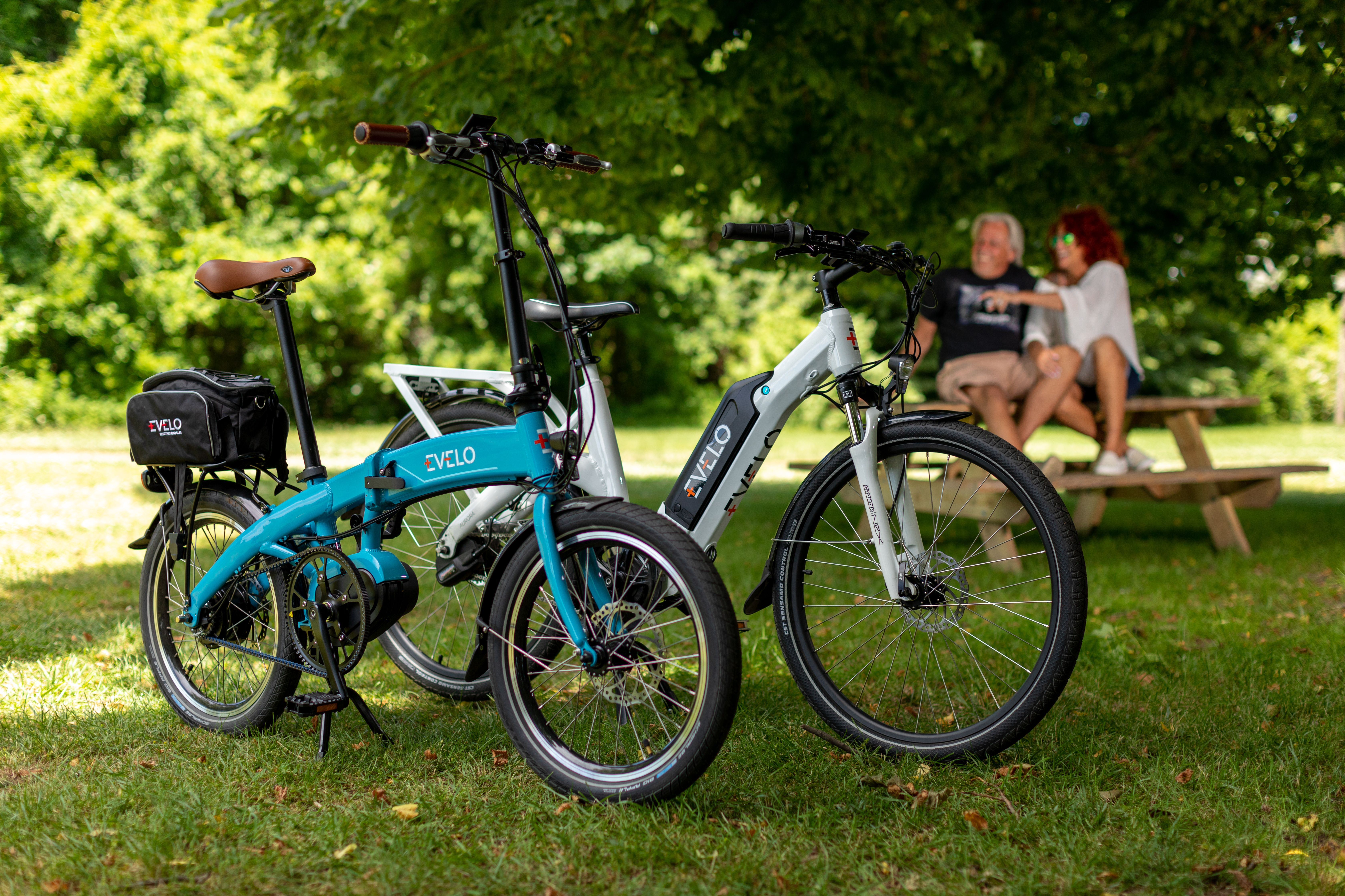 Brake Family Photos, Download The BEST Free Brake Family Stock Photos ...