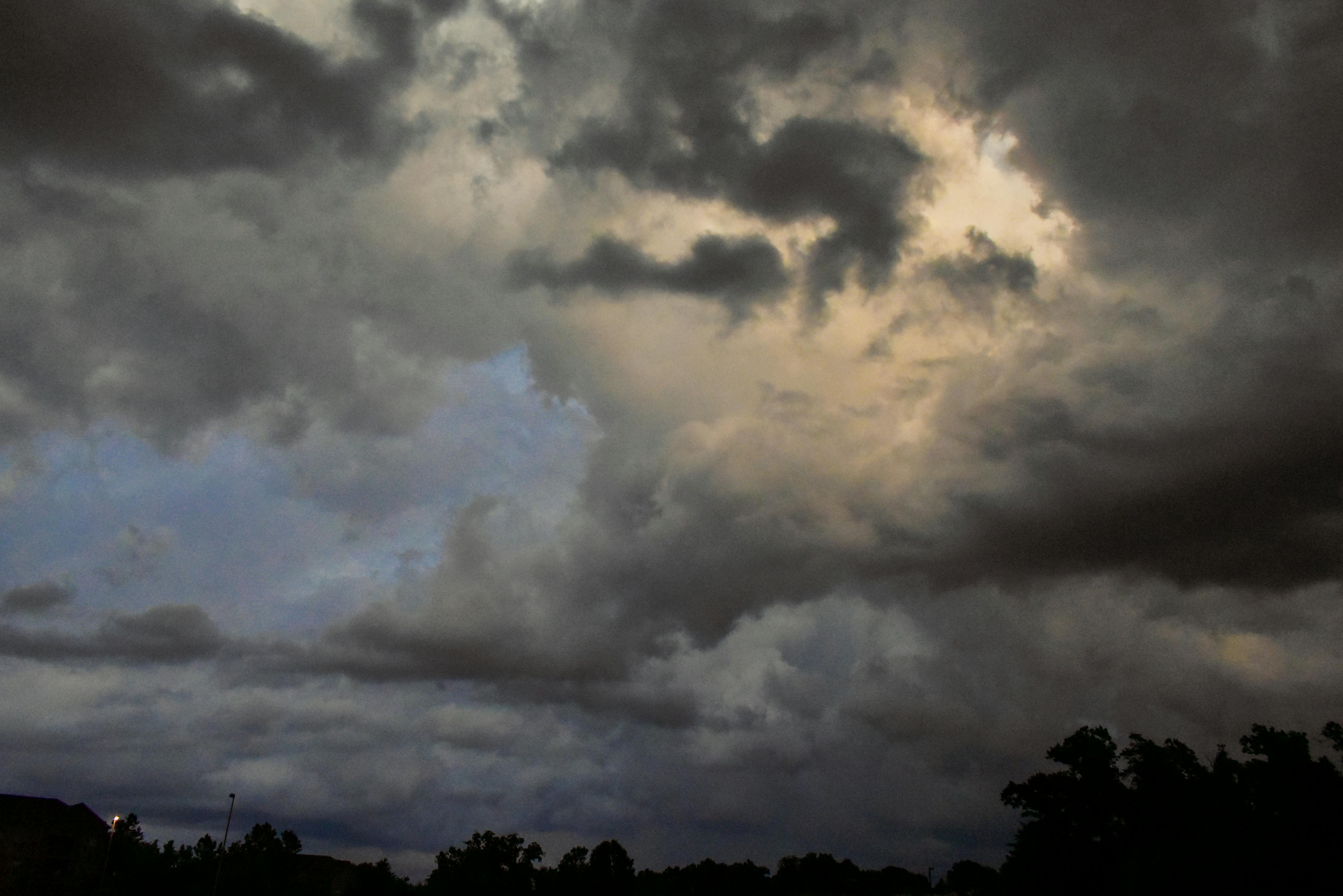 Wendy Maxwell – Fotografie