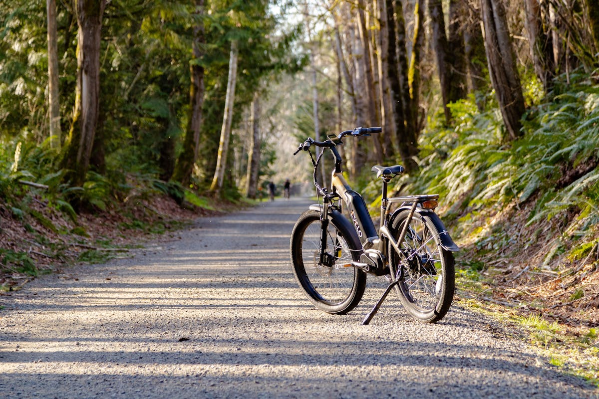 E Bike Photos, Download The BEST Free E Bike Stock Photos & HD Images