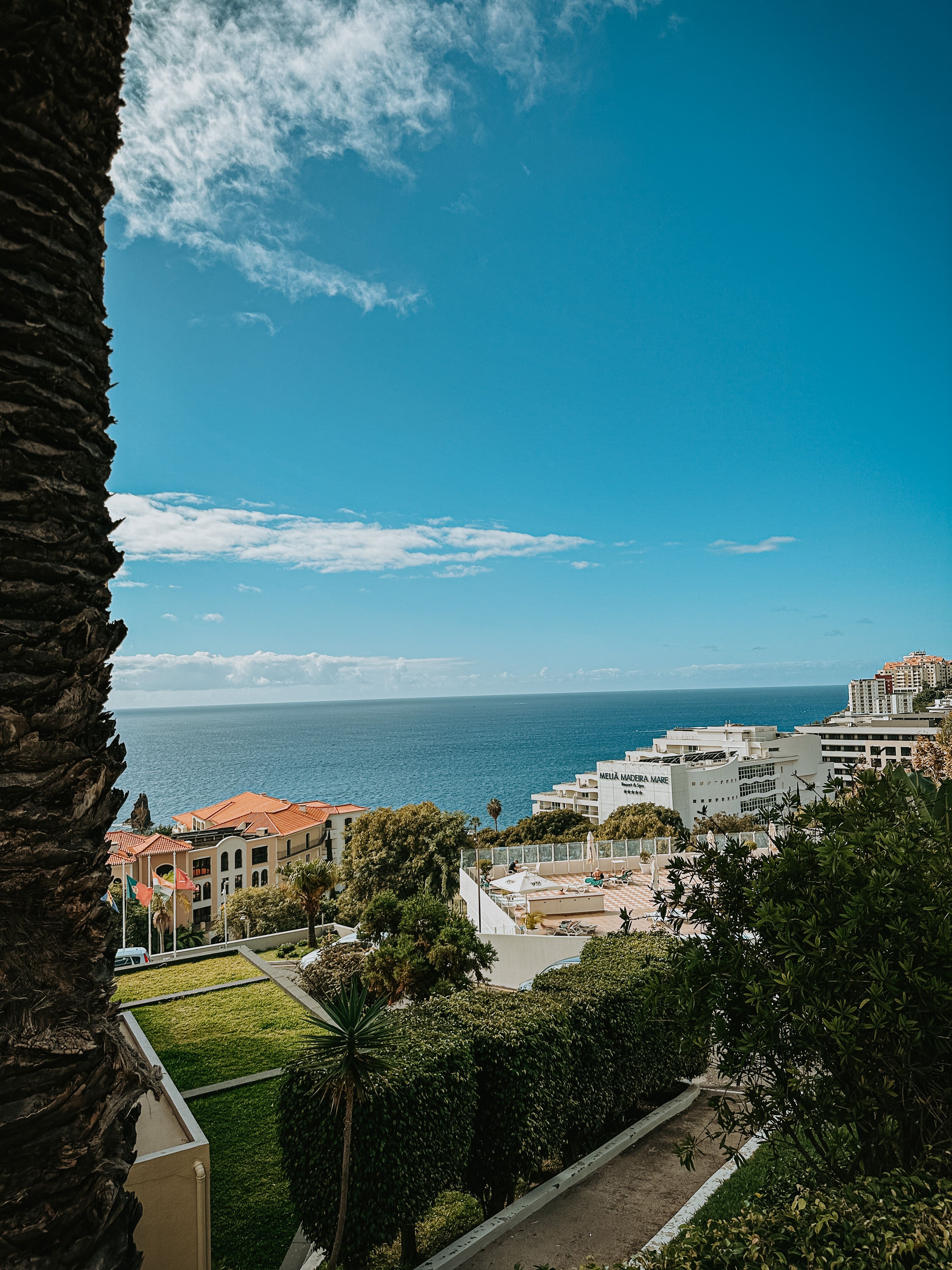 View of a Tourist Resort in Madeira · Free Stock Photo