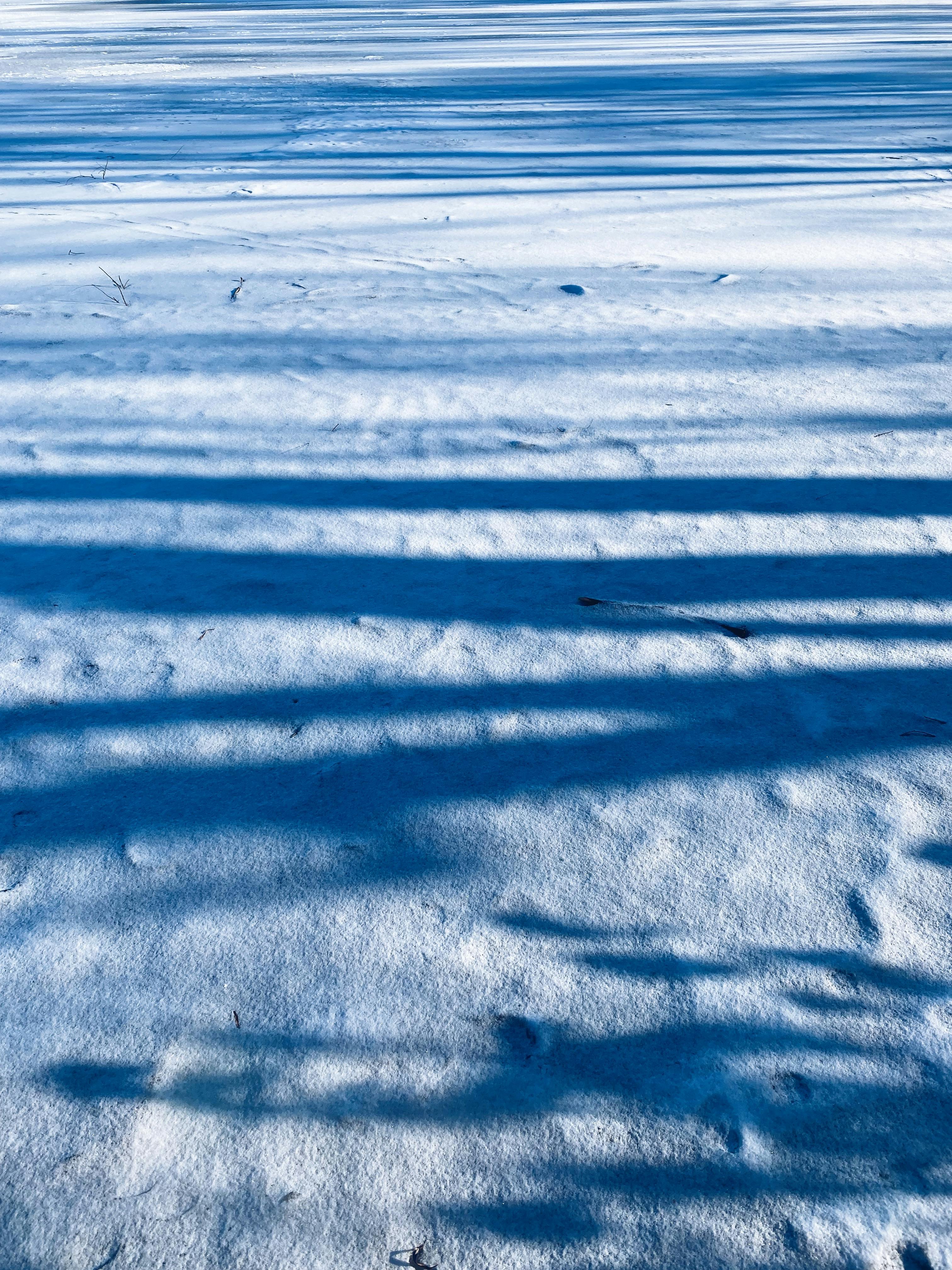 Shadows on Snow · Free Stock Photo