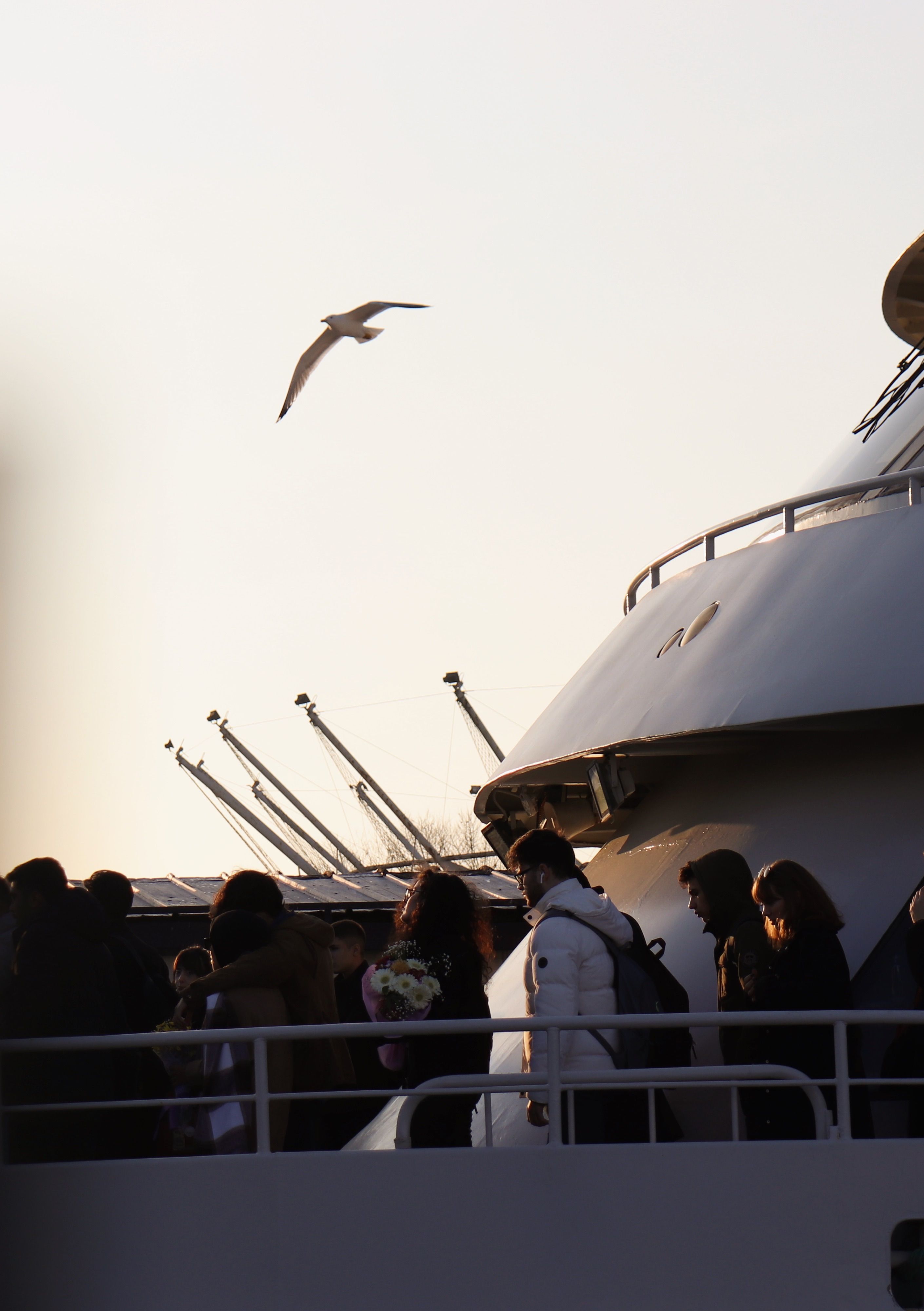 A Bird Flying Above a Ship · Free Stock Photo