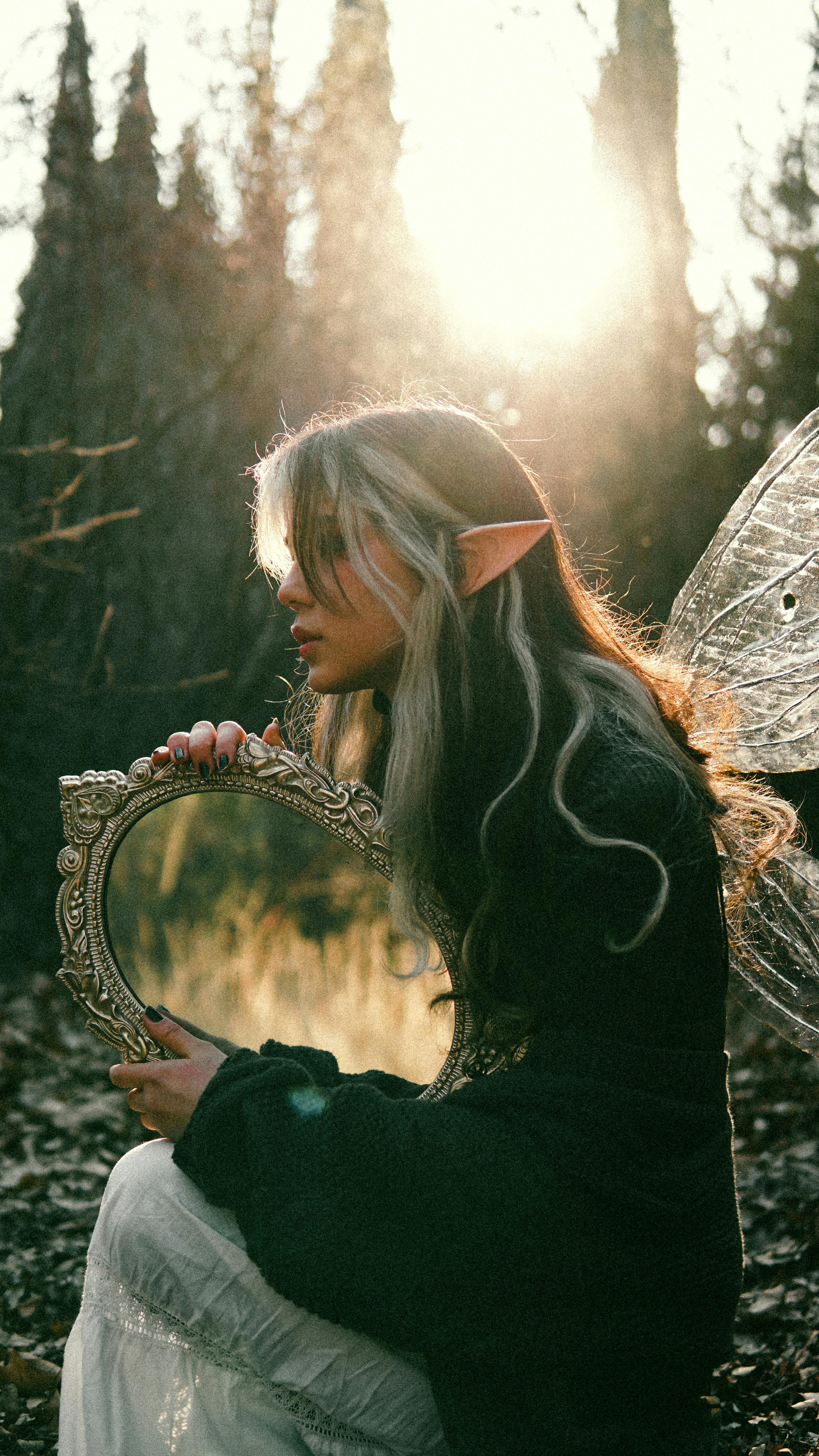 An Elf Peeking in Between Tree Trunks · Free Stock Photo