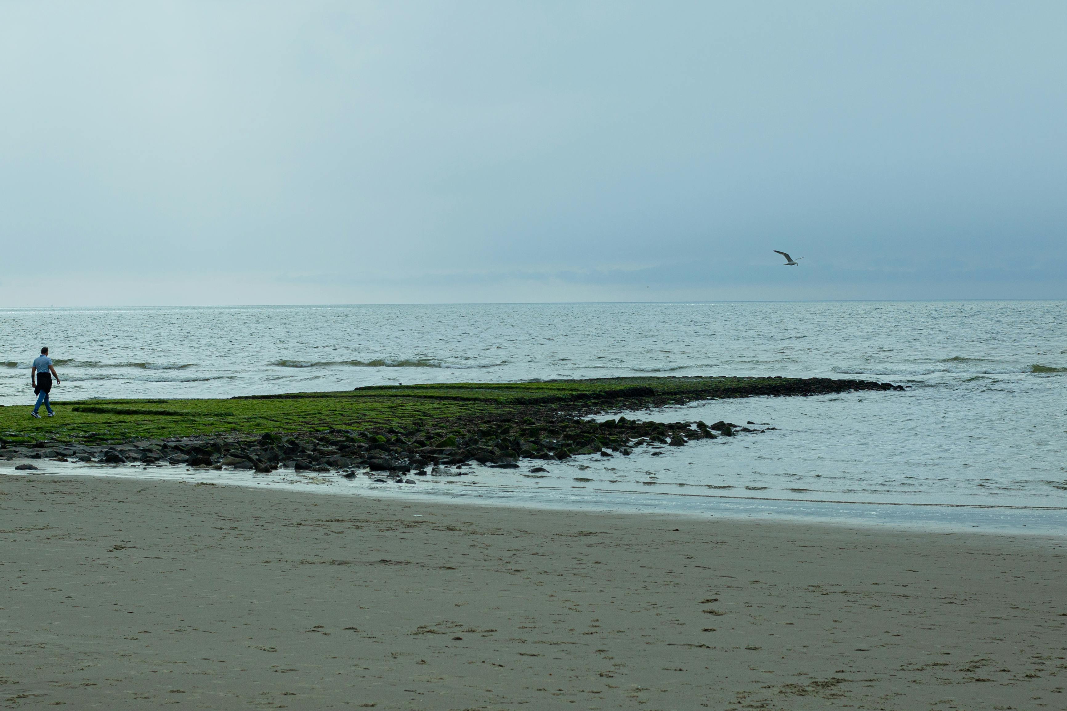 Overcast Beach Photos, Download The BEST Free Overcast Beach Stock ...