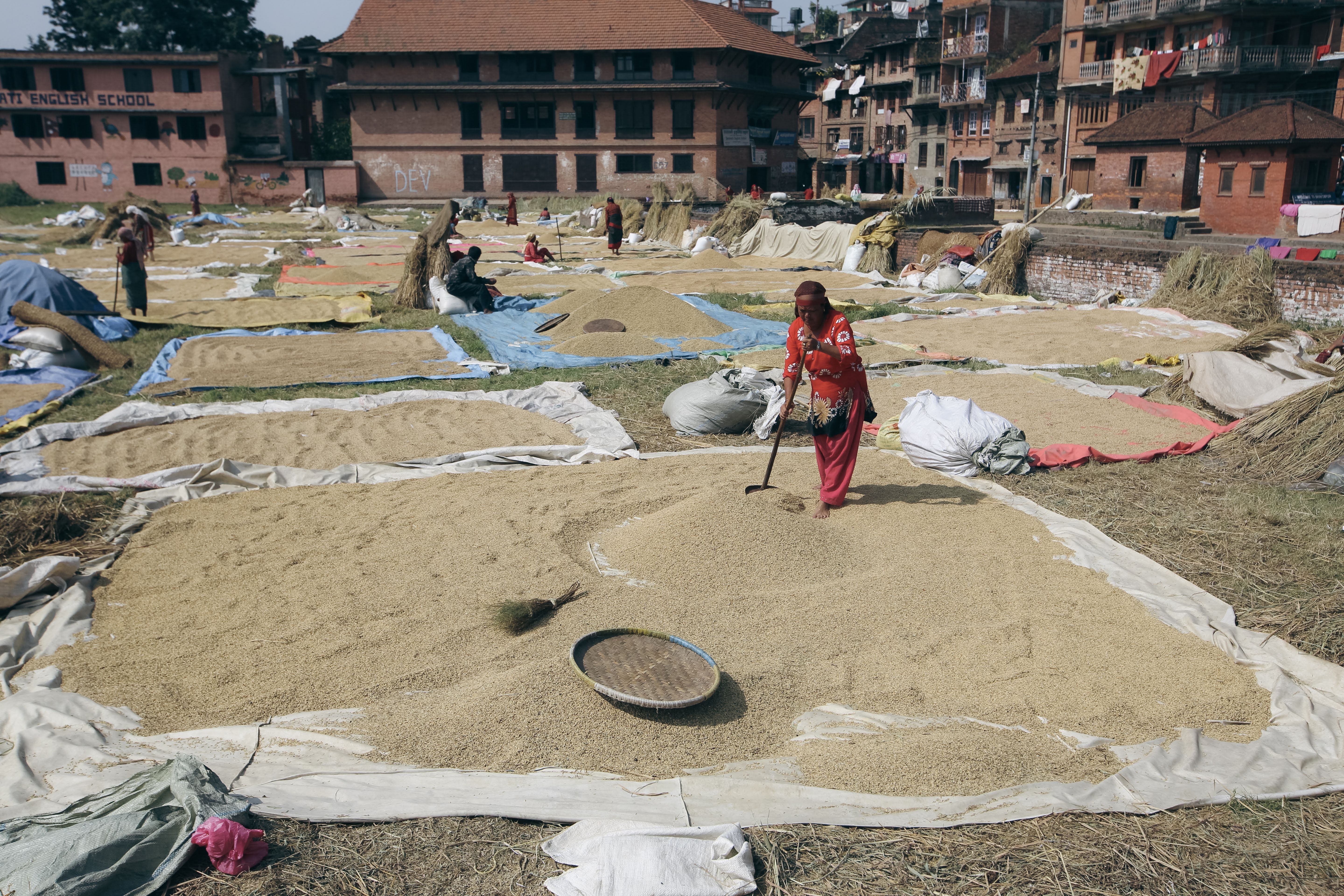People Working in a Village · Free Stock Photo