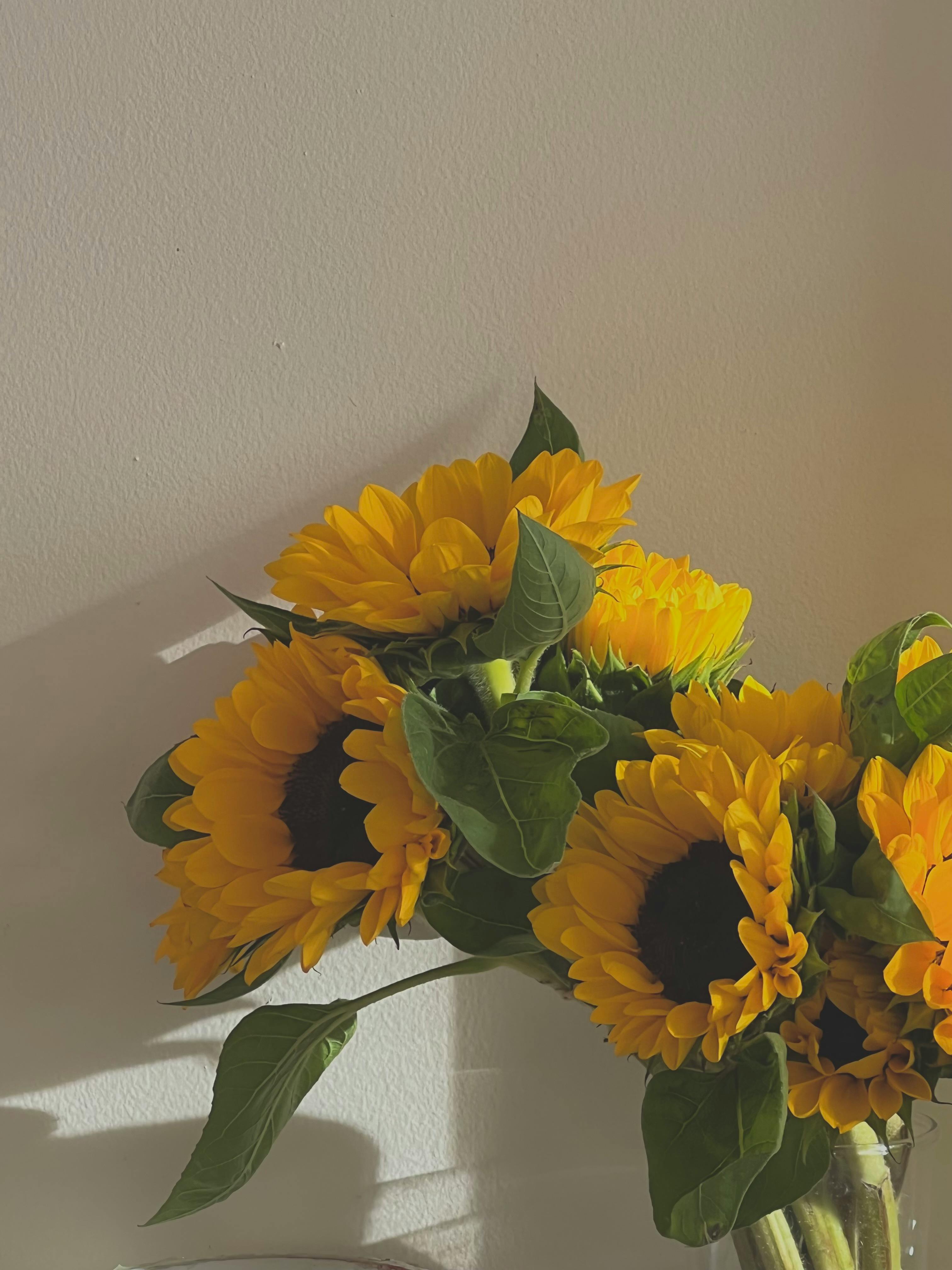 Vase Of Flowers Photos, Download The BEST Free Vase Of Flowers Stock ...