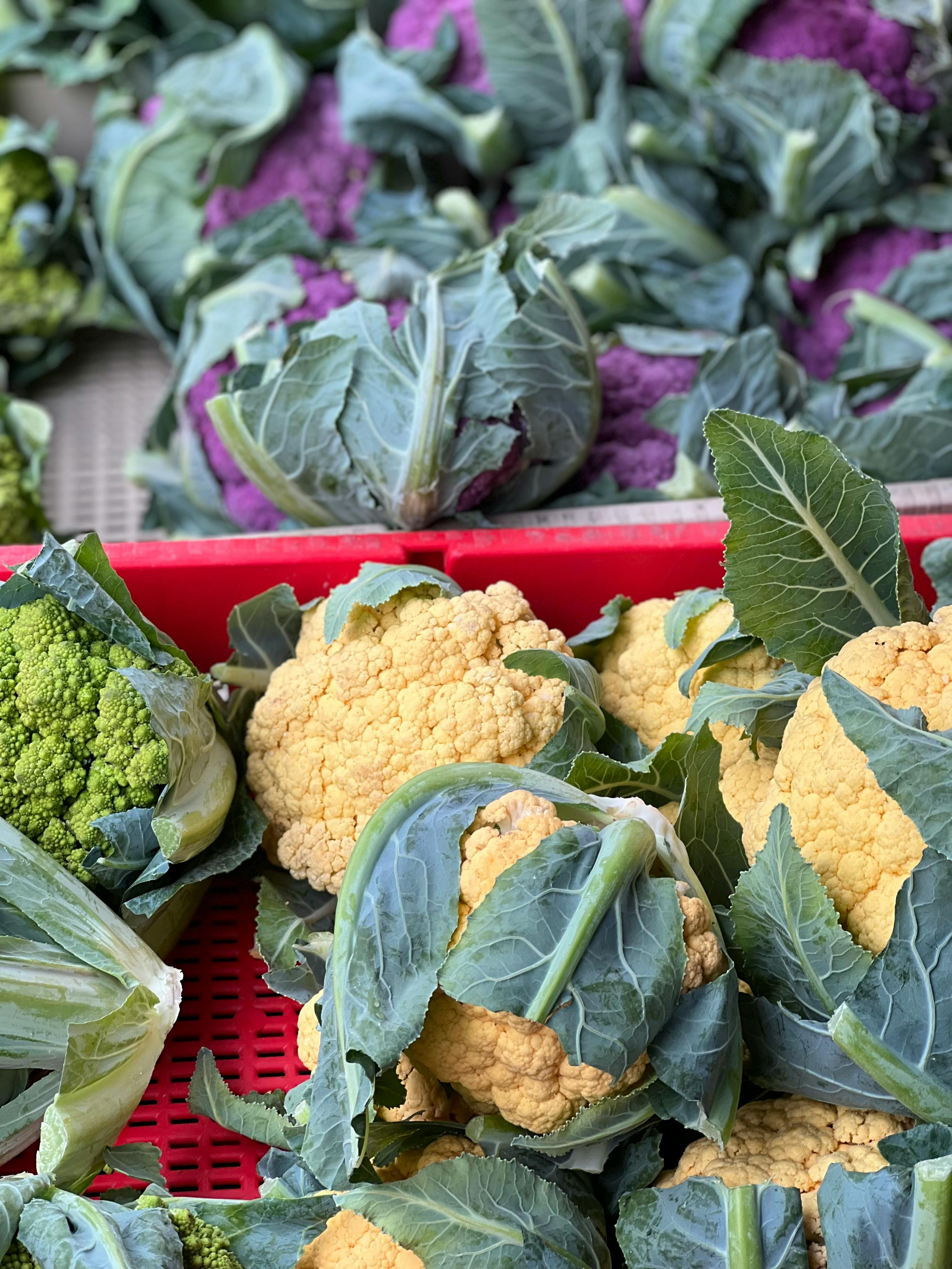 Visual Merchandise Photos, Download The BEST Free Visual Merchandise ...