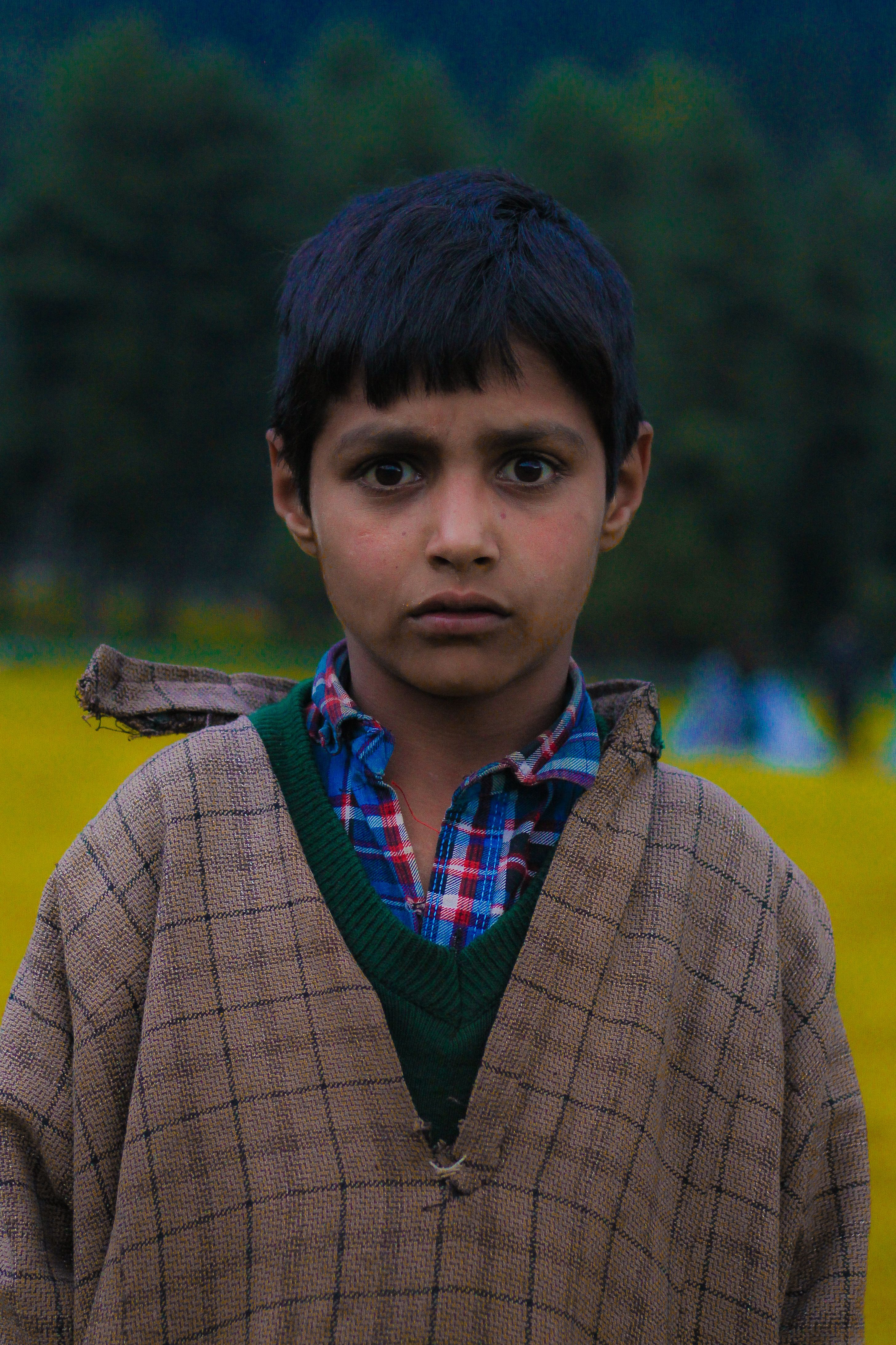 Portrait of a Young Boy · Free Stock Photo