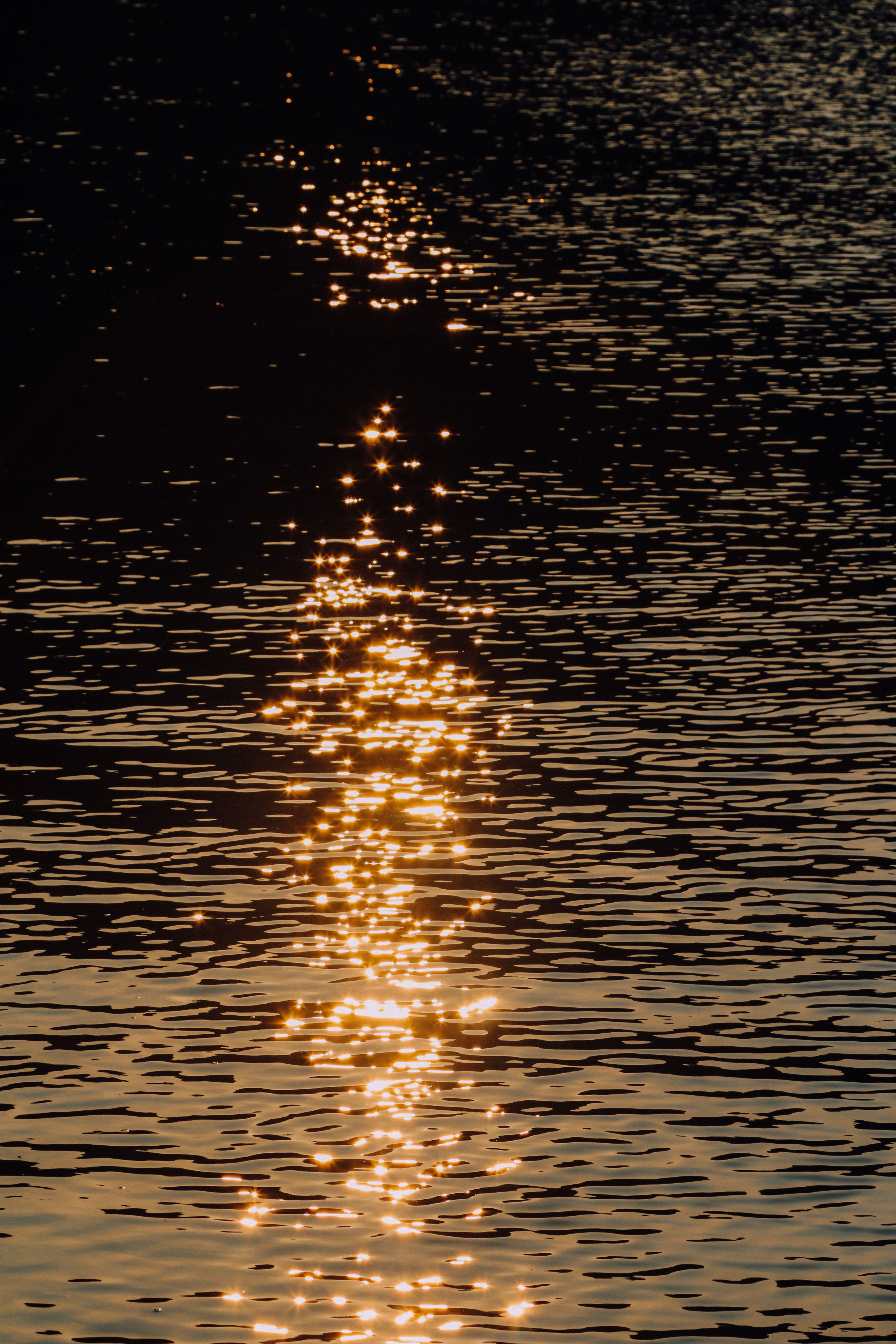 Reflection of Sunlight in a Sea · Free Stock Photo