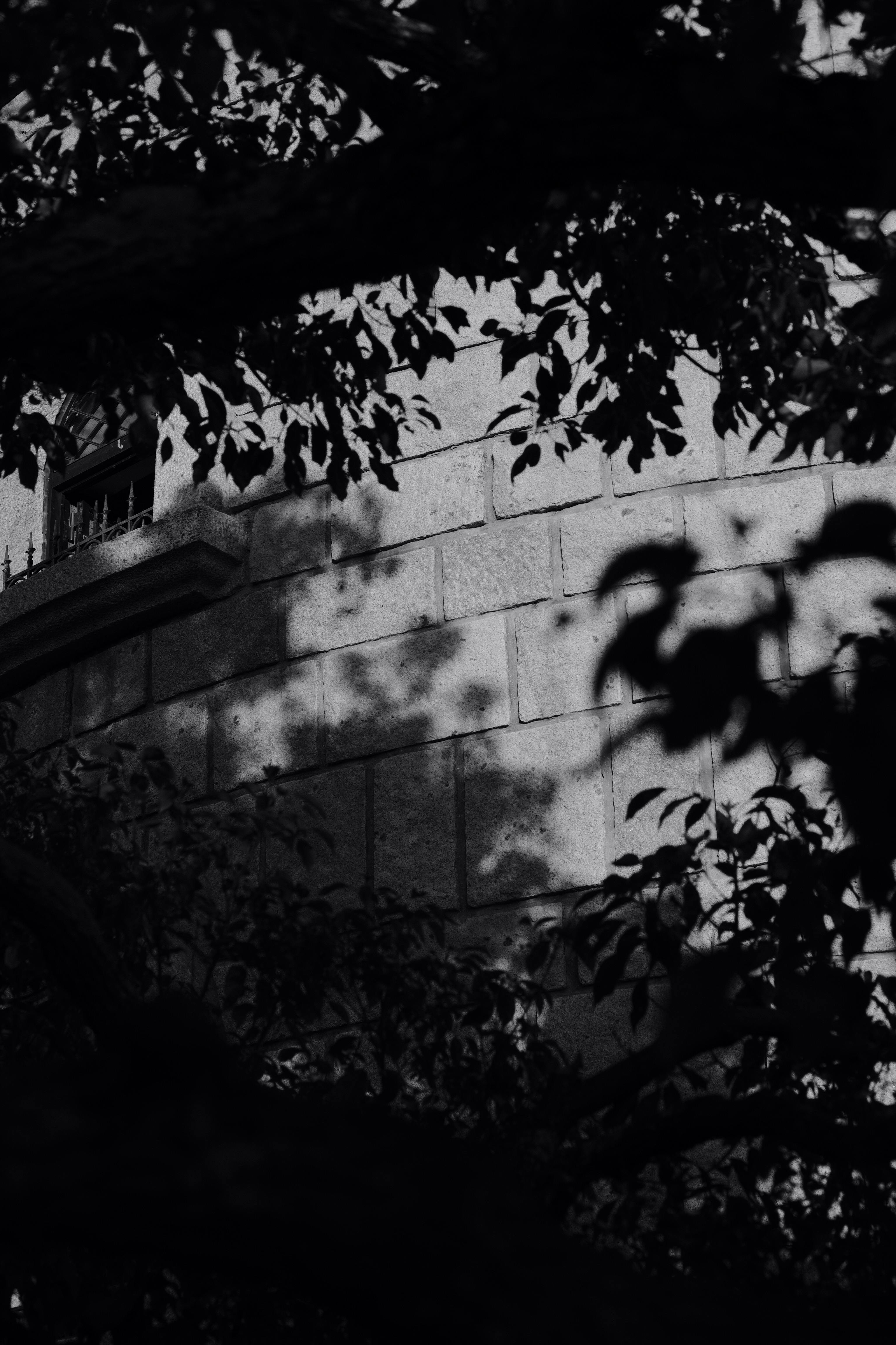 Grayscale Photo of a Concrete Structure · Free Stock Photo