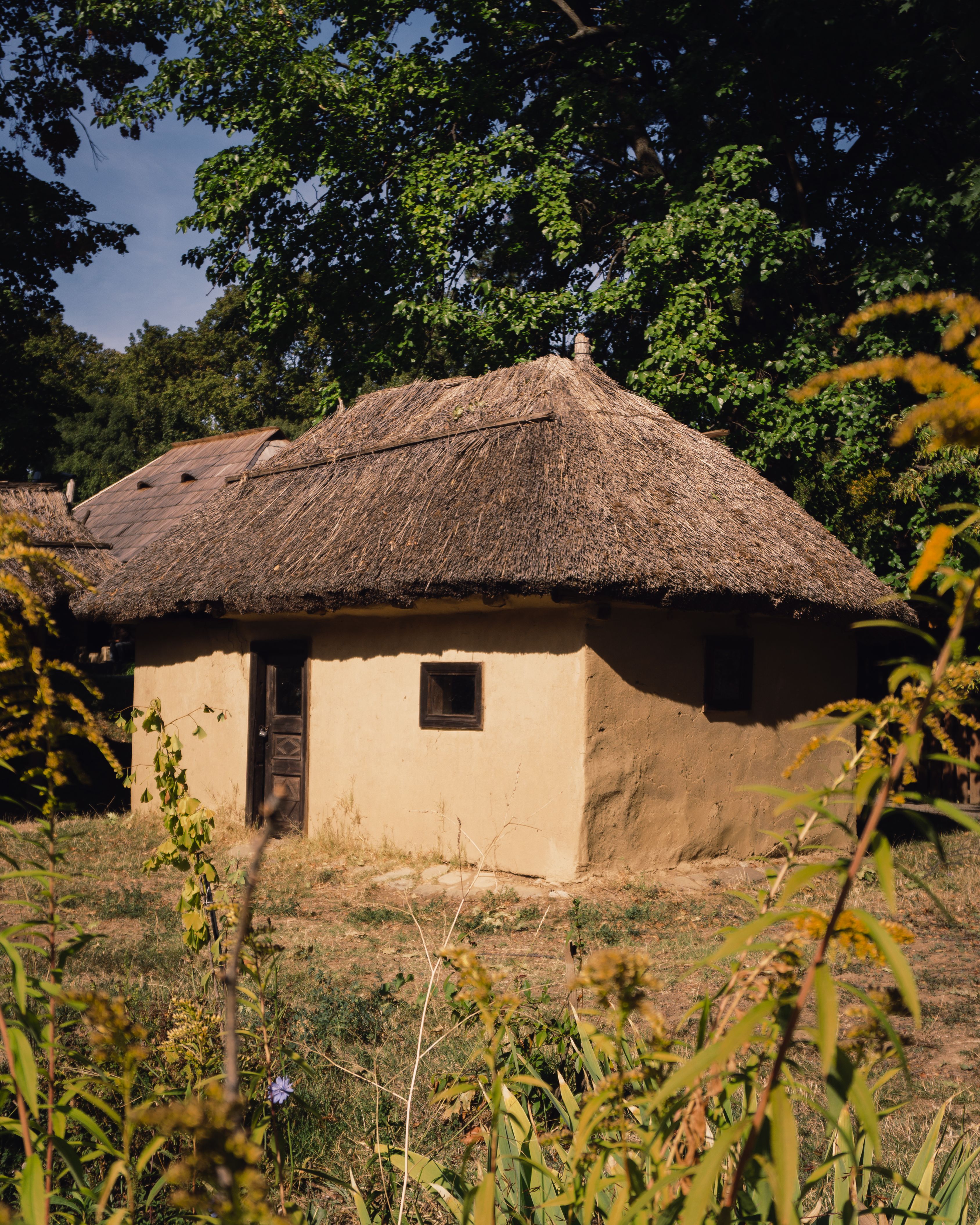 Thatched house in Summer Countryside · Free Stock Photo